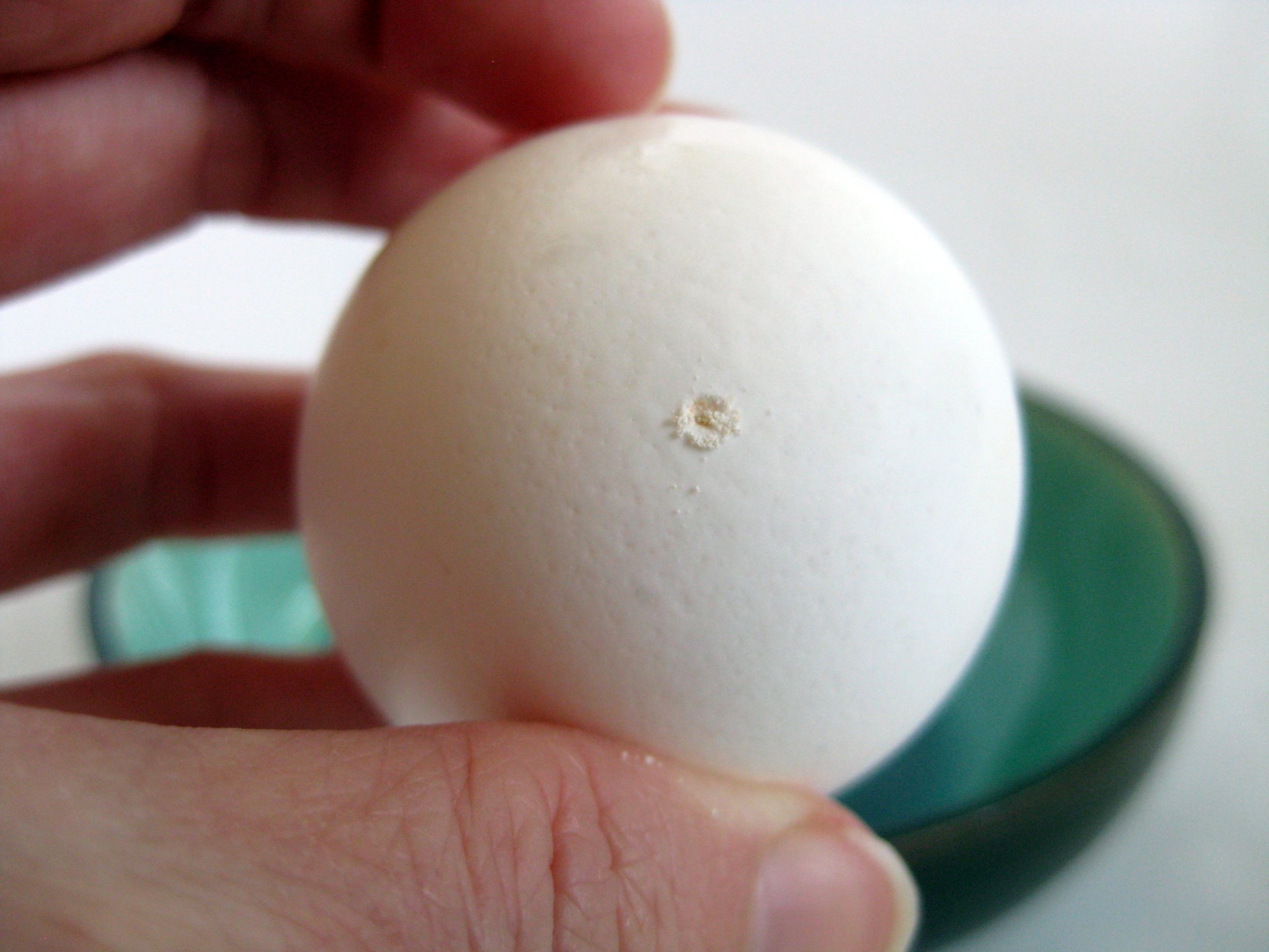 3 Easy Crafts Using Nail Polish and Eggshells : 12 Steps (with Pictures ...