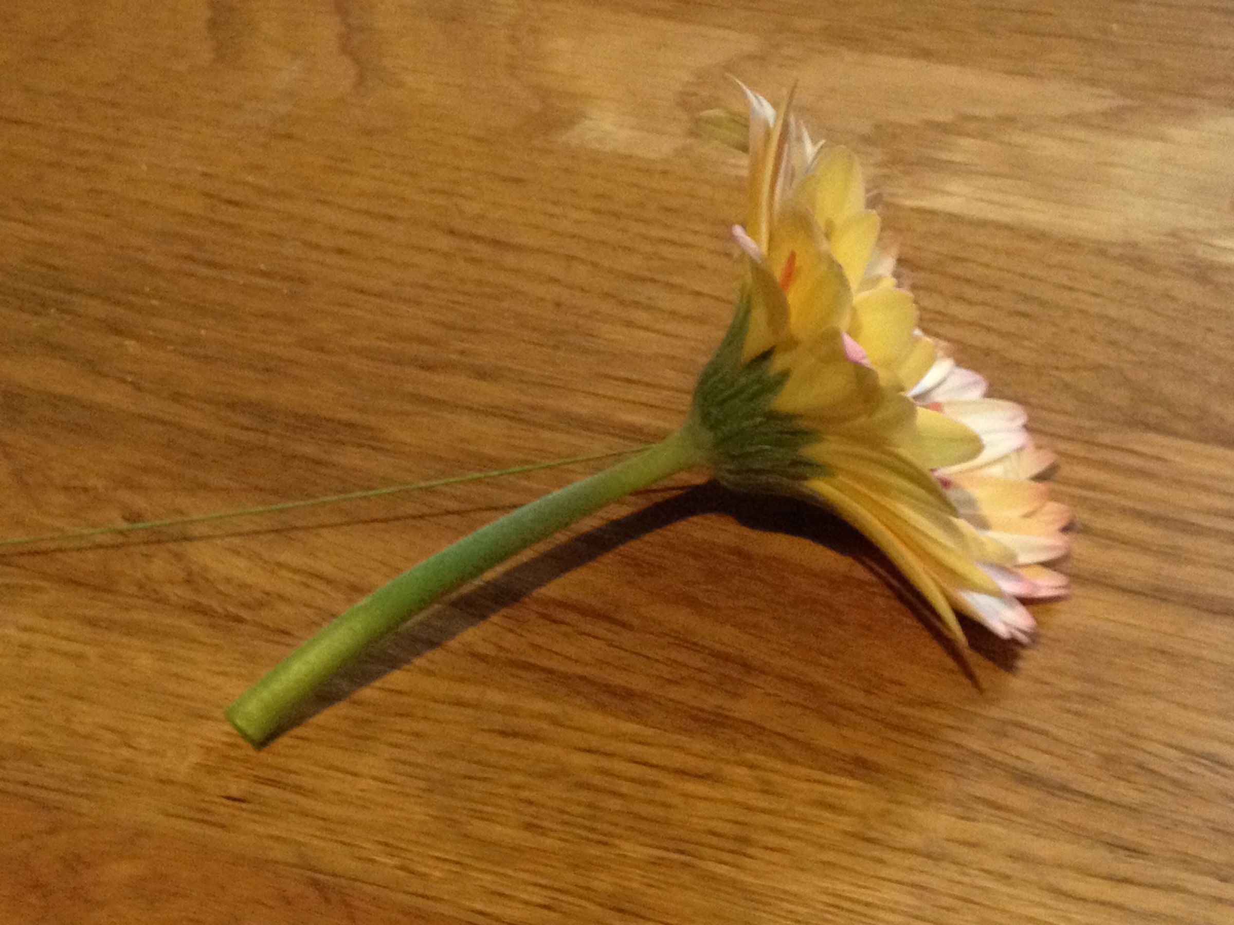 Easy Flower Corsages (Using Magnets) : 6 Steps - Instructables