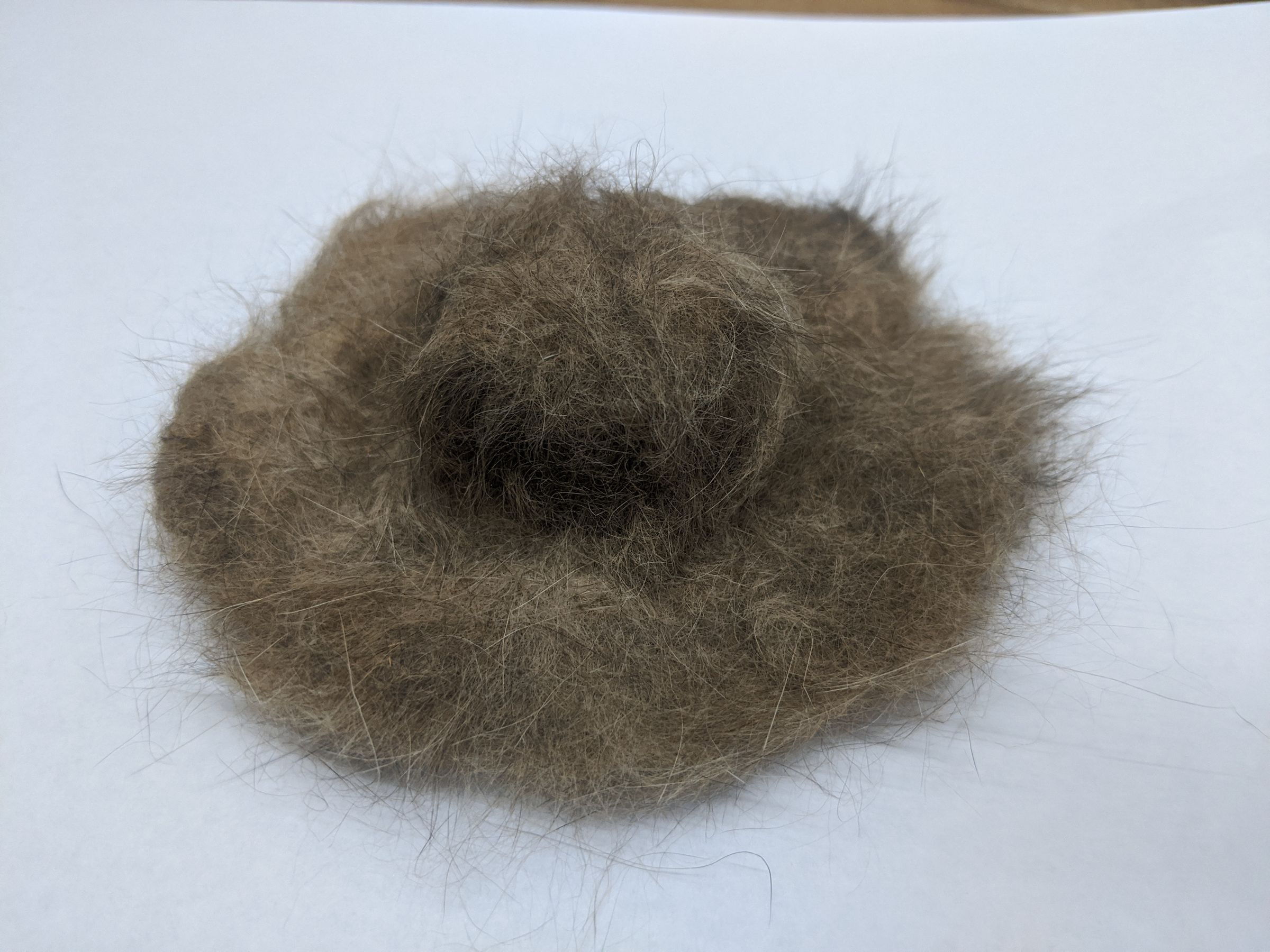 Felted Cat Fur Cat Hat : 3 Steps (with Pictures) - Instructables