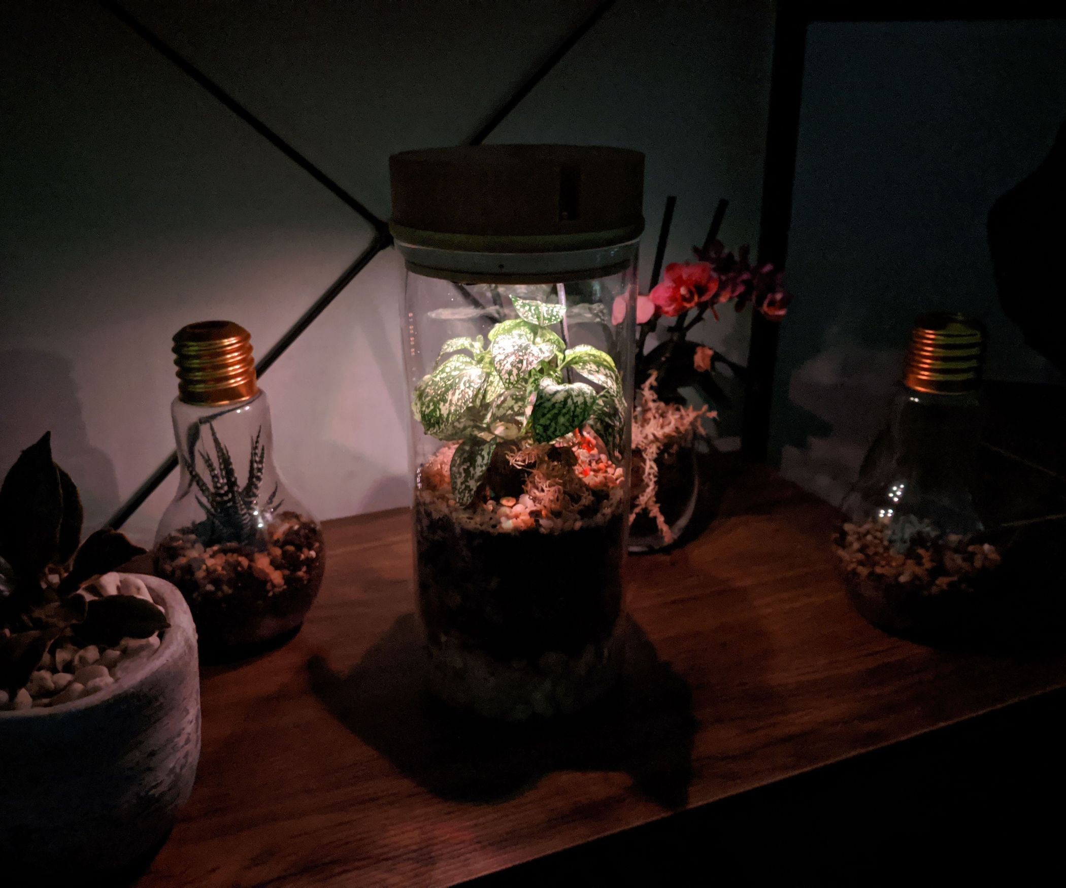 IoT-Terrarium : 6 Steps (with Pictures) - Instructables