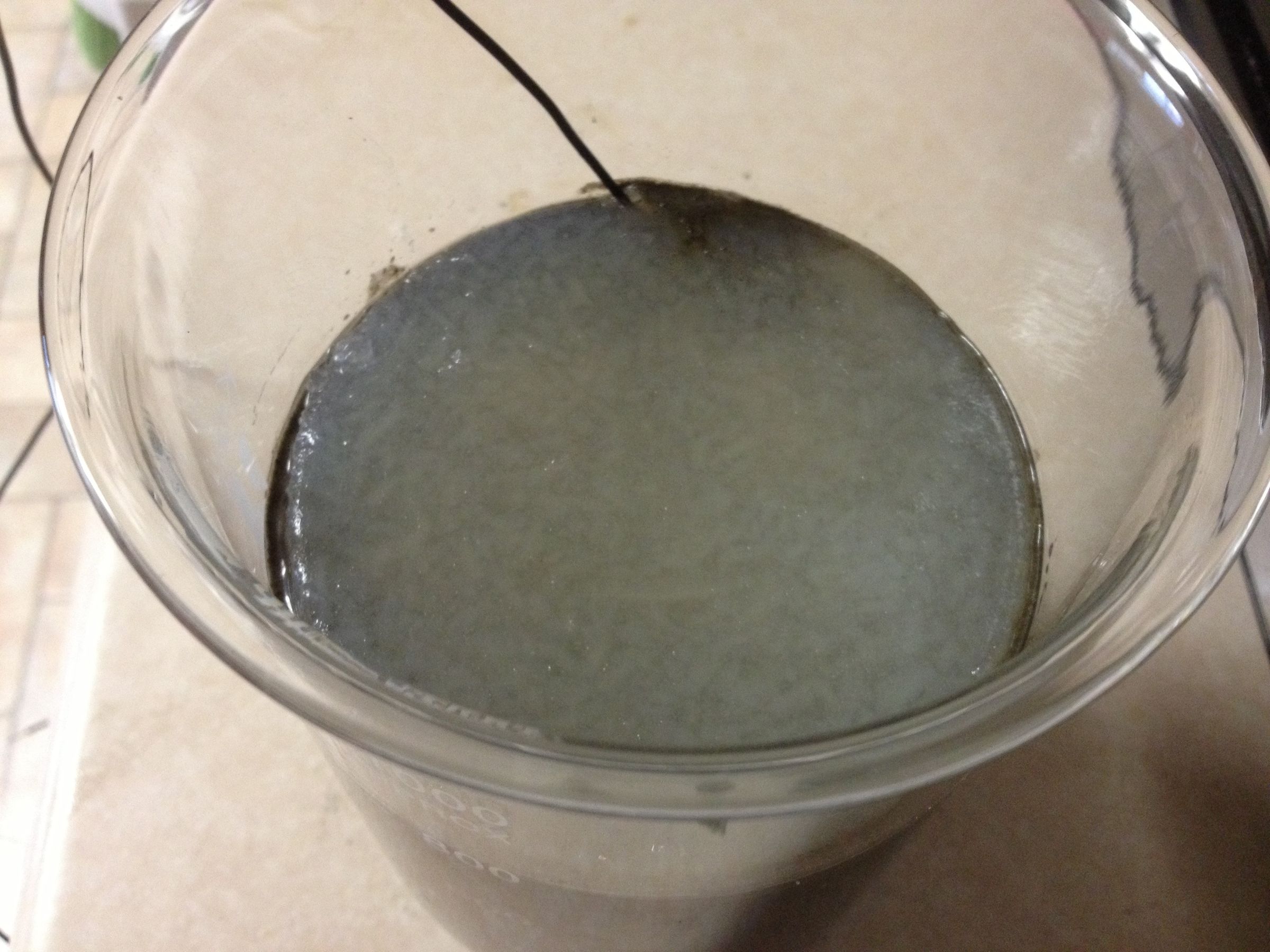Microbial Fuel Cell of Science!!! : 4 Steps (with Pictures) - Instructables