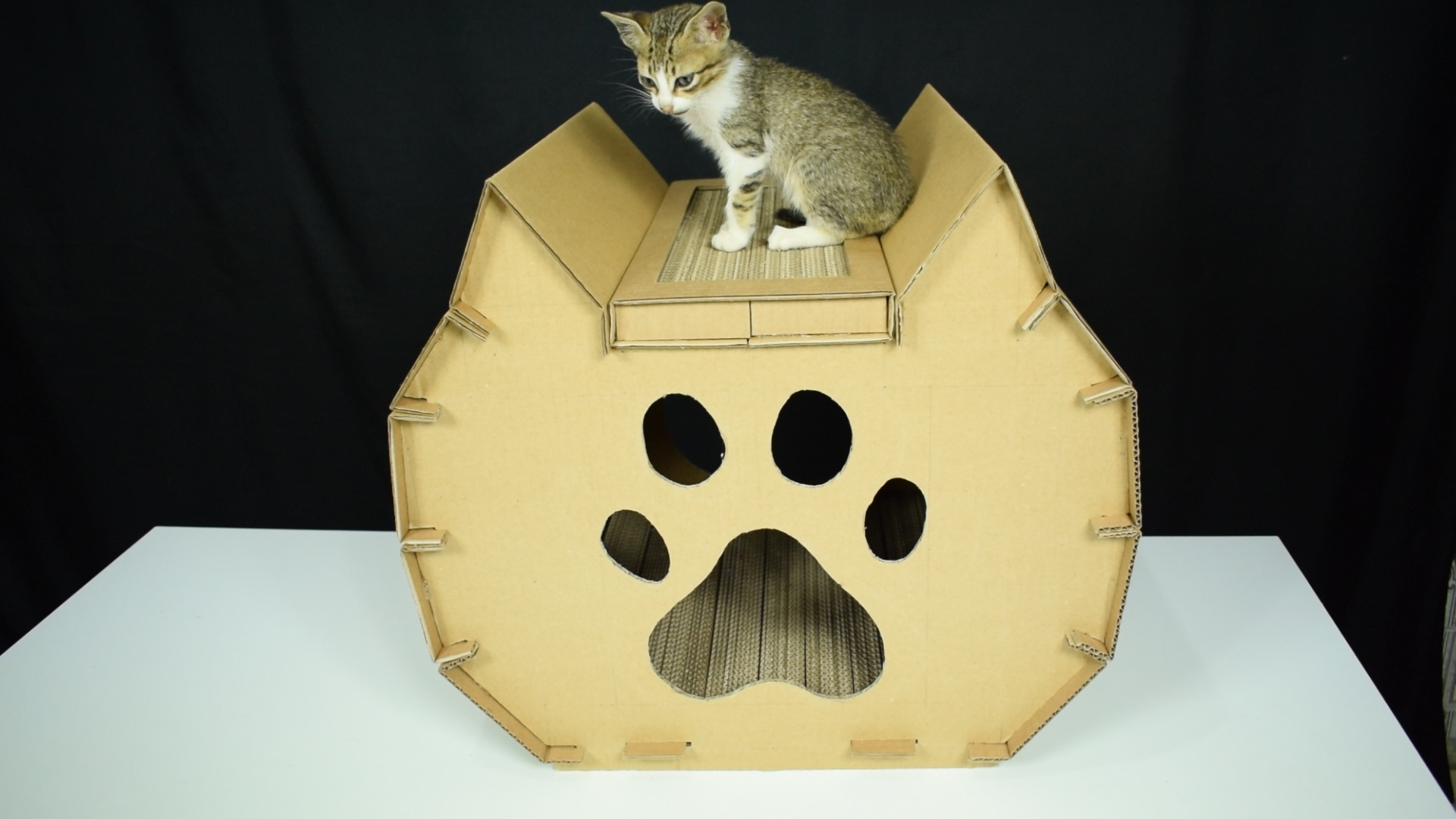 Cardboard Cat House With Scratcher : 4 Steps (with Pictures ...