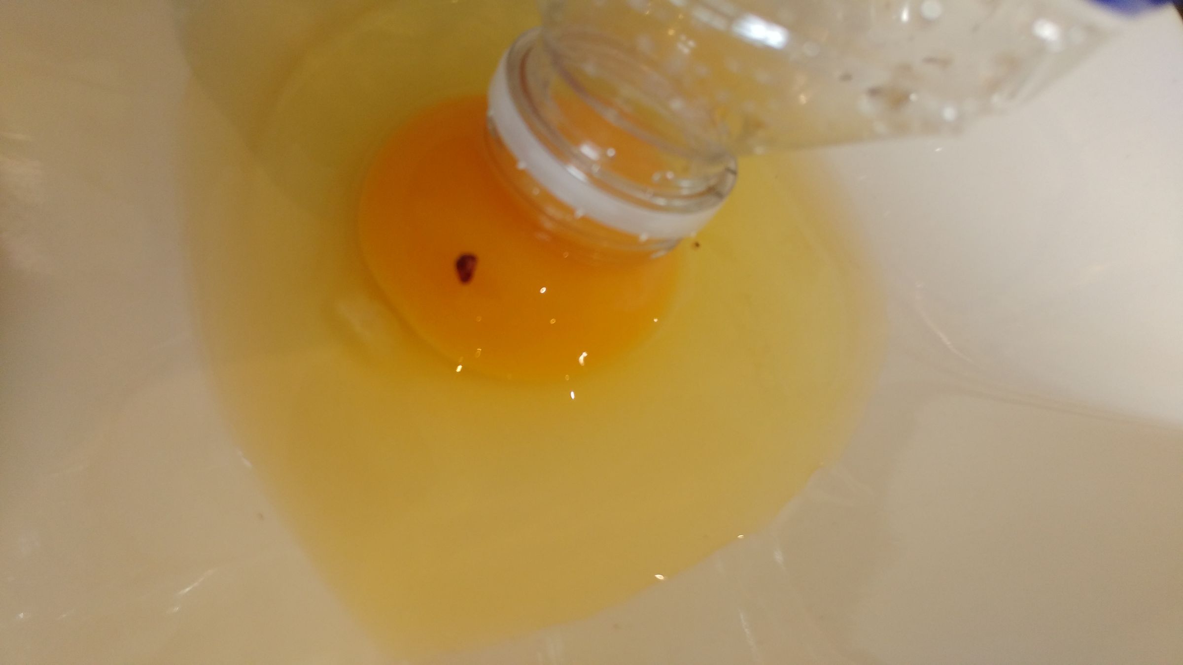 Easy Egg Yoke Separating! : 5 Steps - Instructables