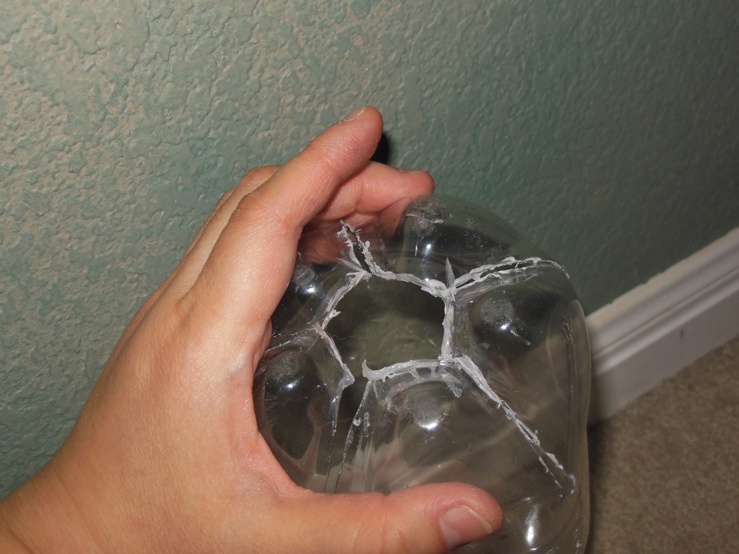 Stop Critters From Eating Sunflowers - Instructables