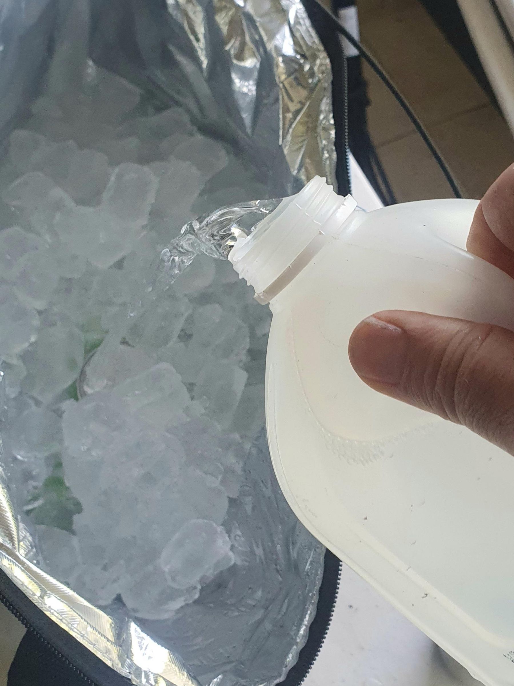 Beer Can Cooling Experiments : 40 Steps (with Pictures) - Instructables