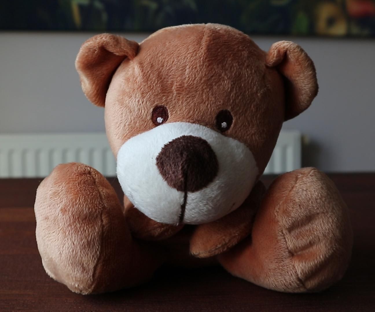 The Swear Bear : 5 Steps (with Pictures) - Instructables