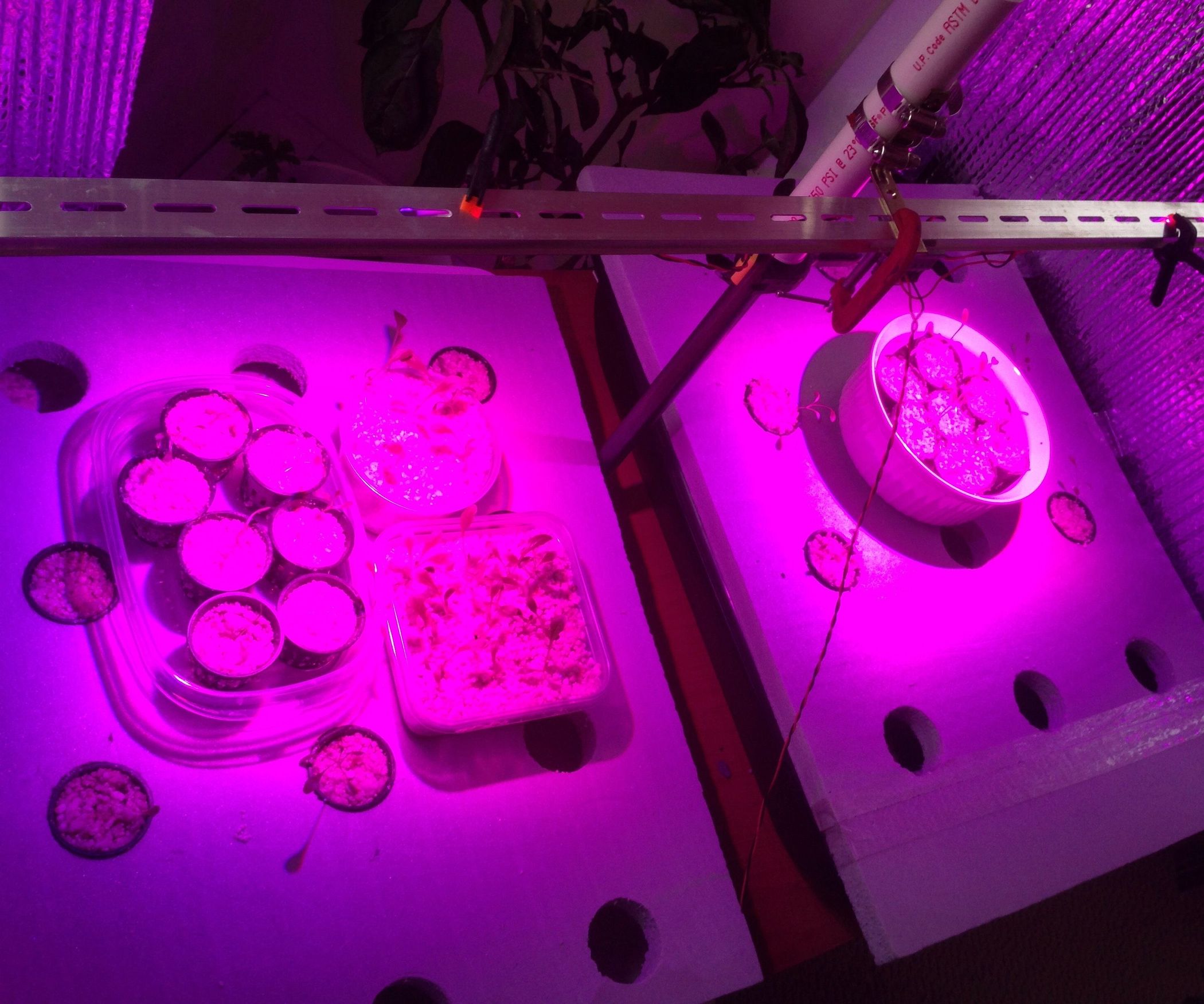 LED Grow Light Using Illumitex Surexi F1 LEDs : 5 Steps (with Pictures ...