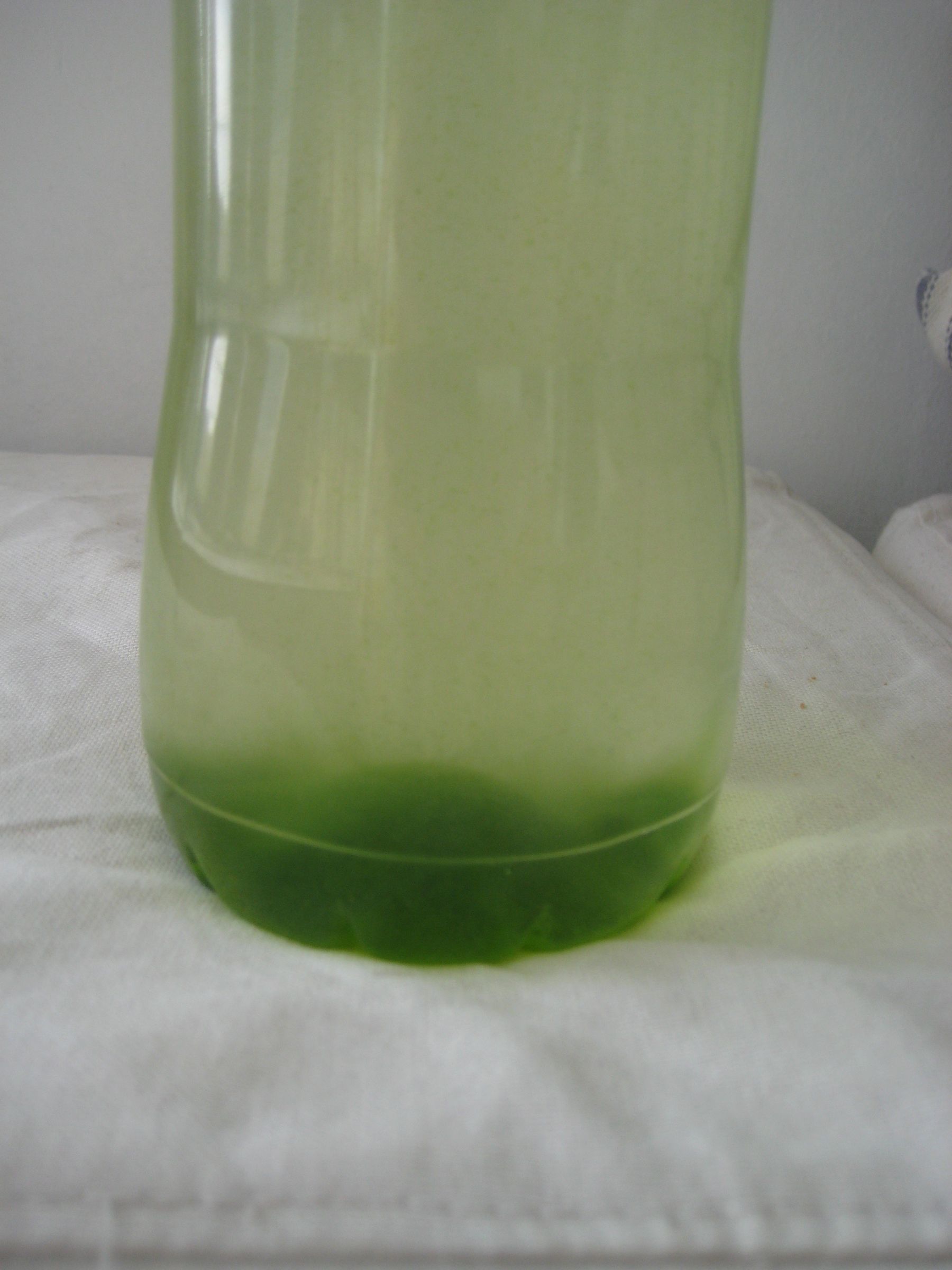 The Algae Experiment: How to Build Your Own Algae Photo-bioreactor ...