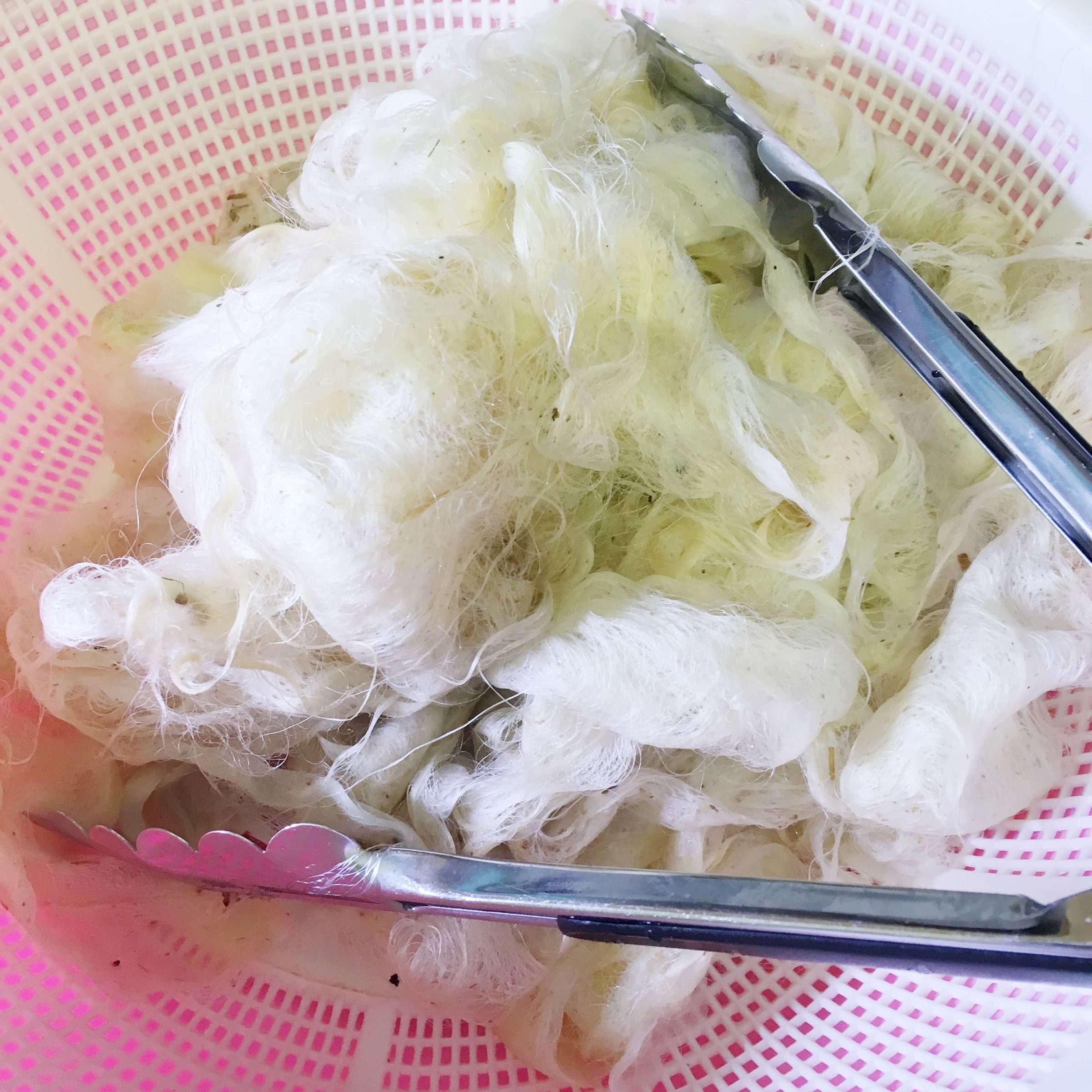 Hot Scouring Fiber at Home : 6 Steps (with Pictures) - Instructables