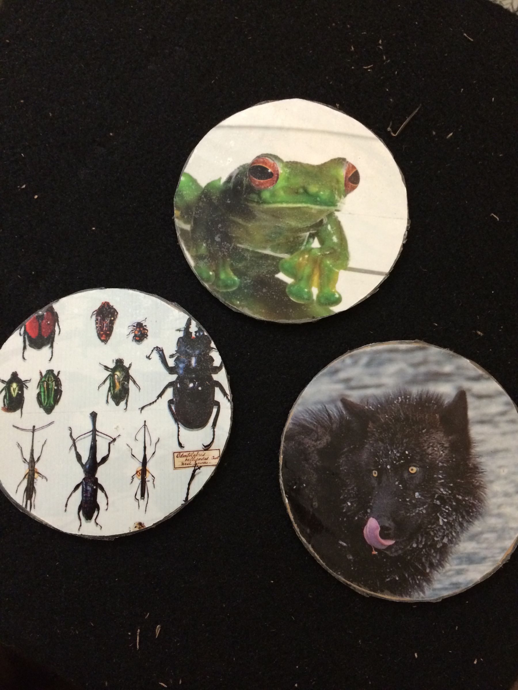 Cheap Homemade Coasters : 4 Steps (with Pictures) - Instructables