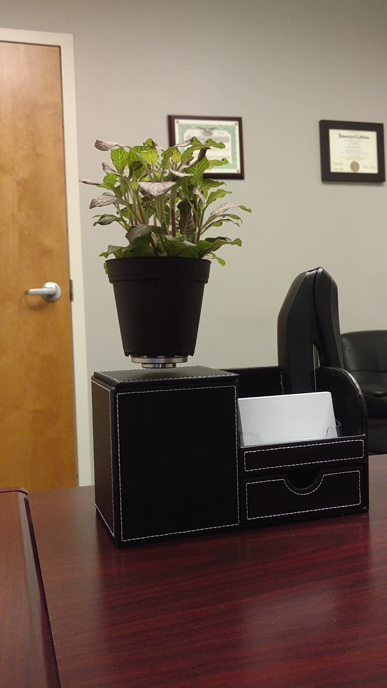 DIY Levitating Plant! : 7 Steps (with Pictures) - Instructables