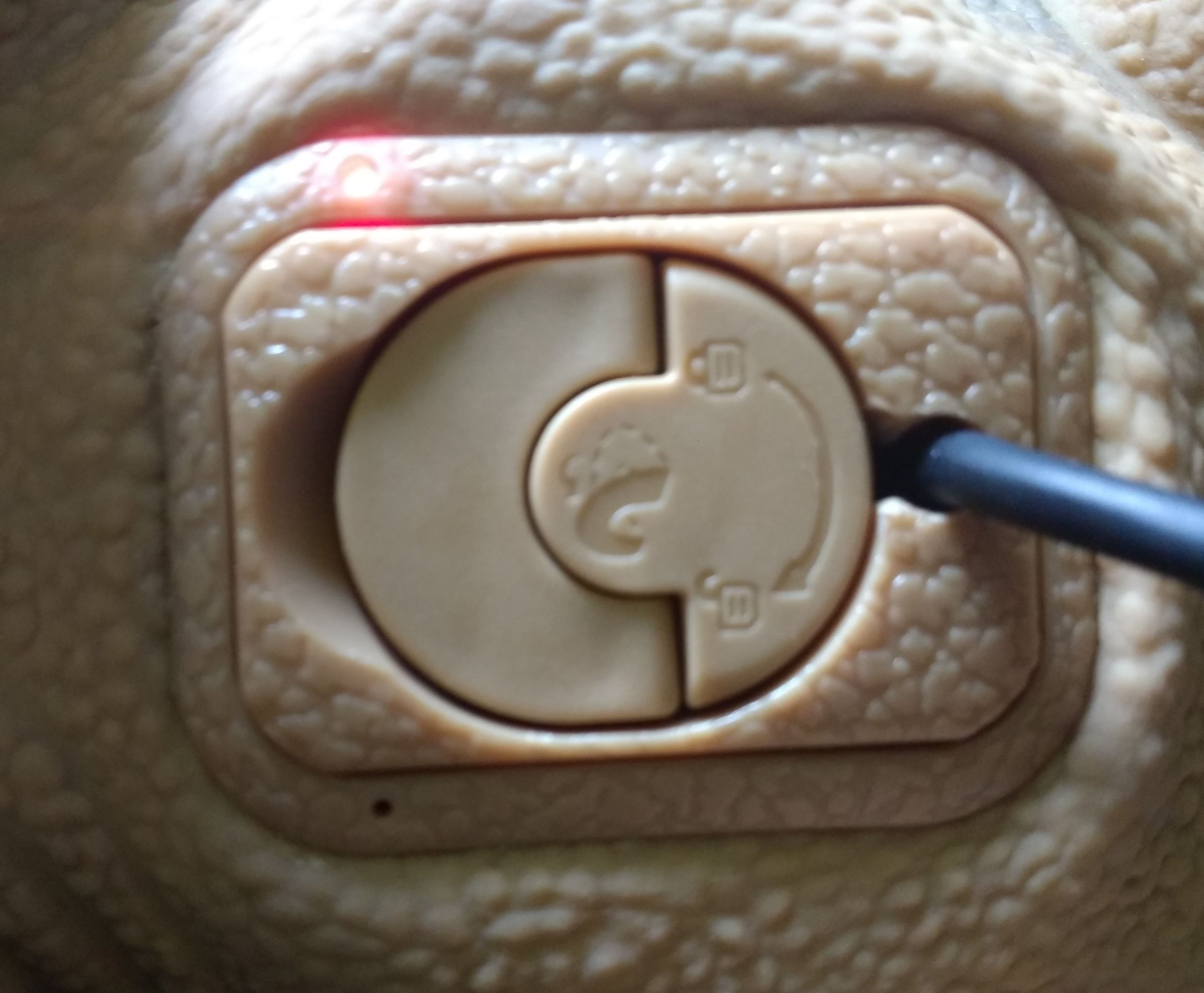 Resurrect Your Dead Pleo RB With a Tethered PSU : 5 Steps (with ...