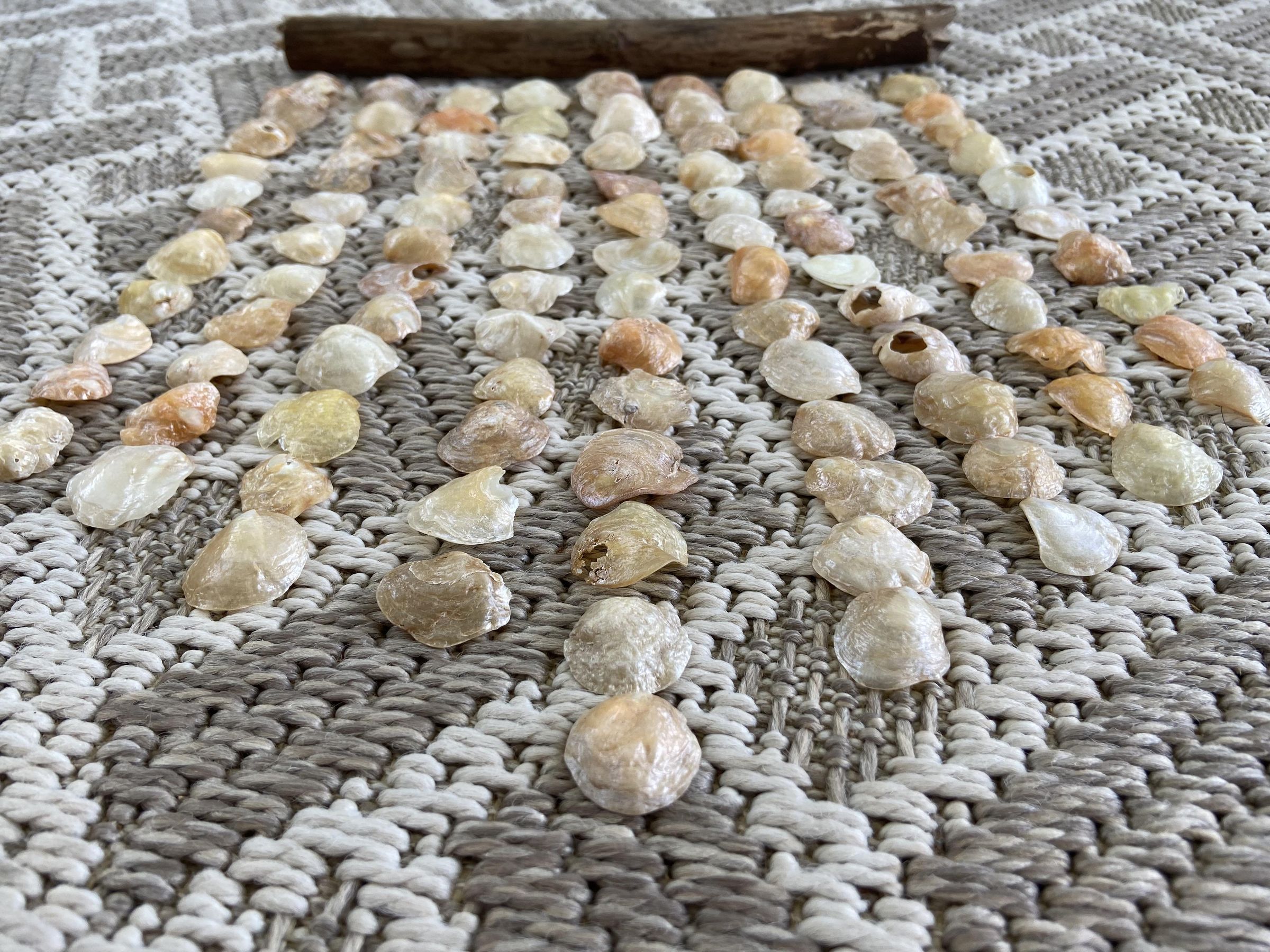 Seashell Wall Hanging : 6 Steps (with Pictures) - Instructables