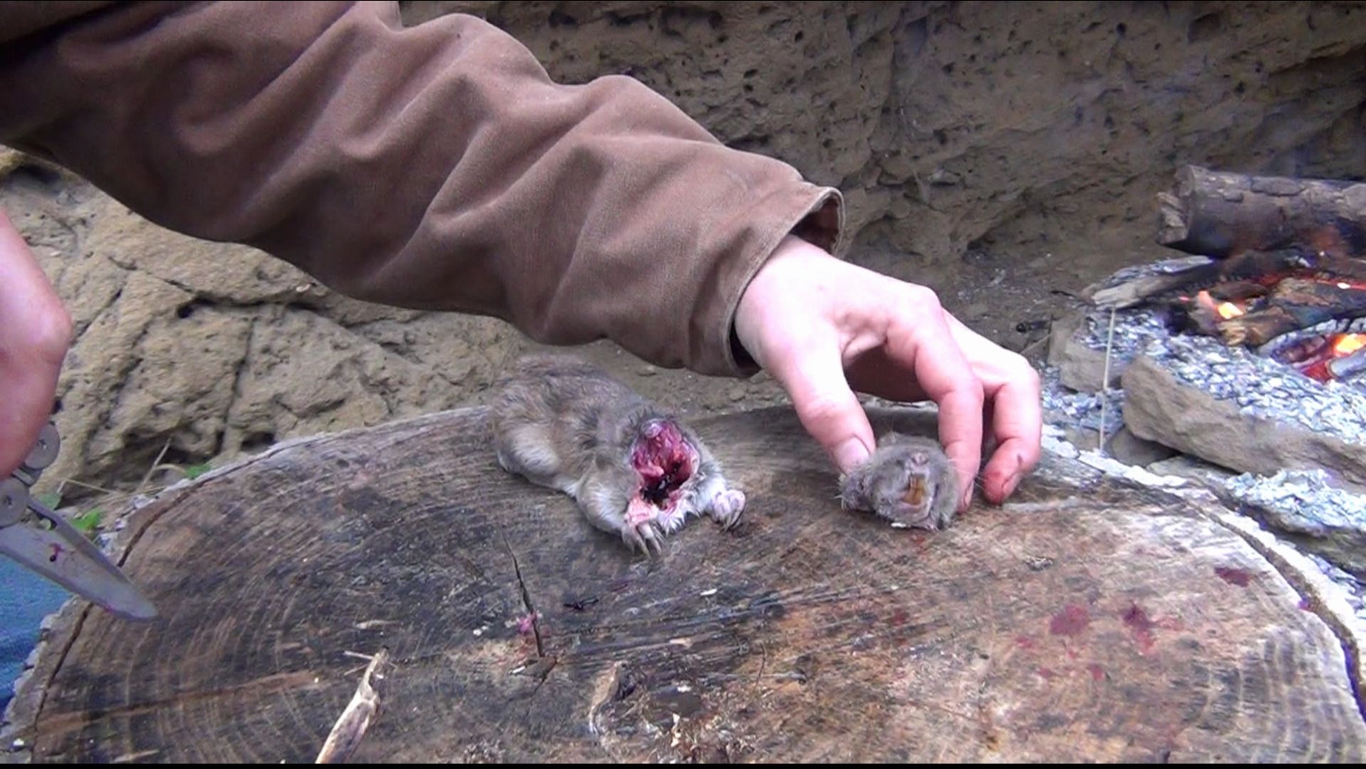 How to Skin and Cook Gopher : 7 Steps (with Pictures) - Instructables