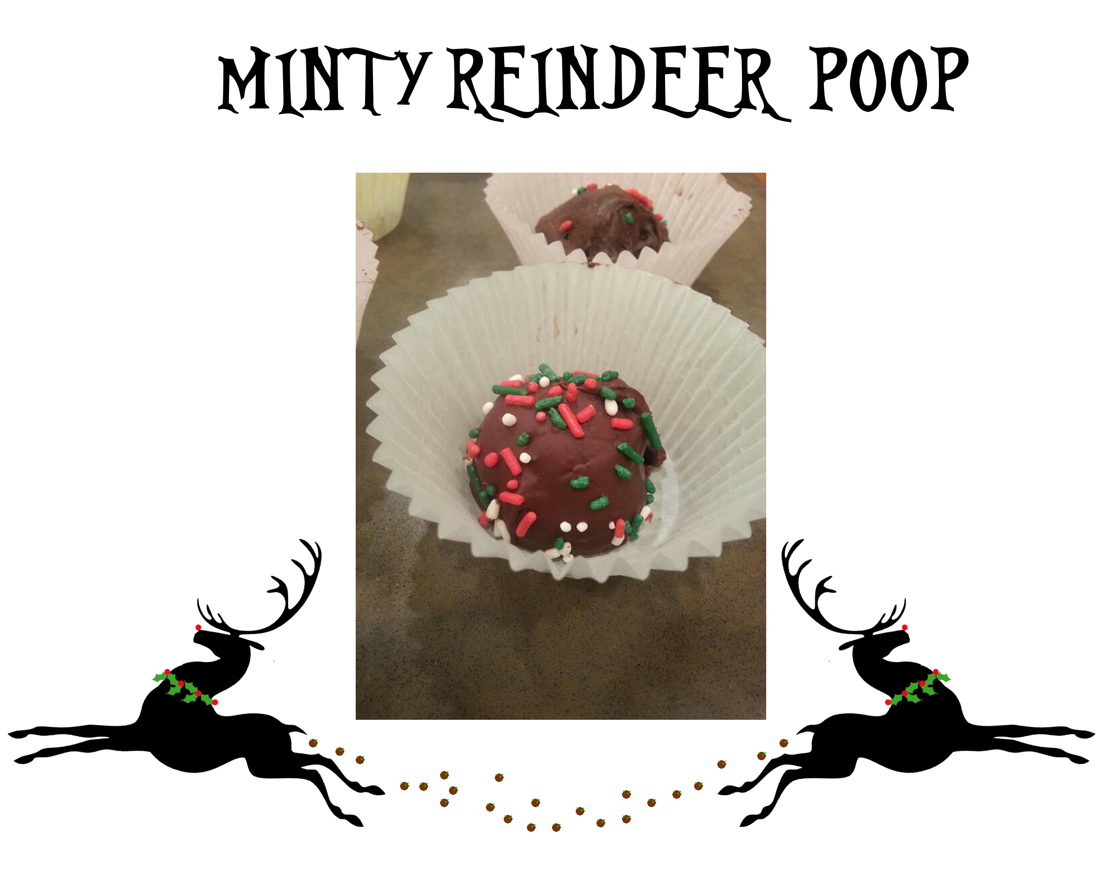 Reindeer Poop