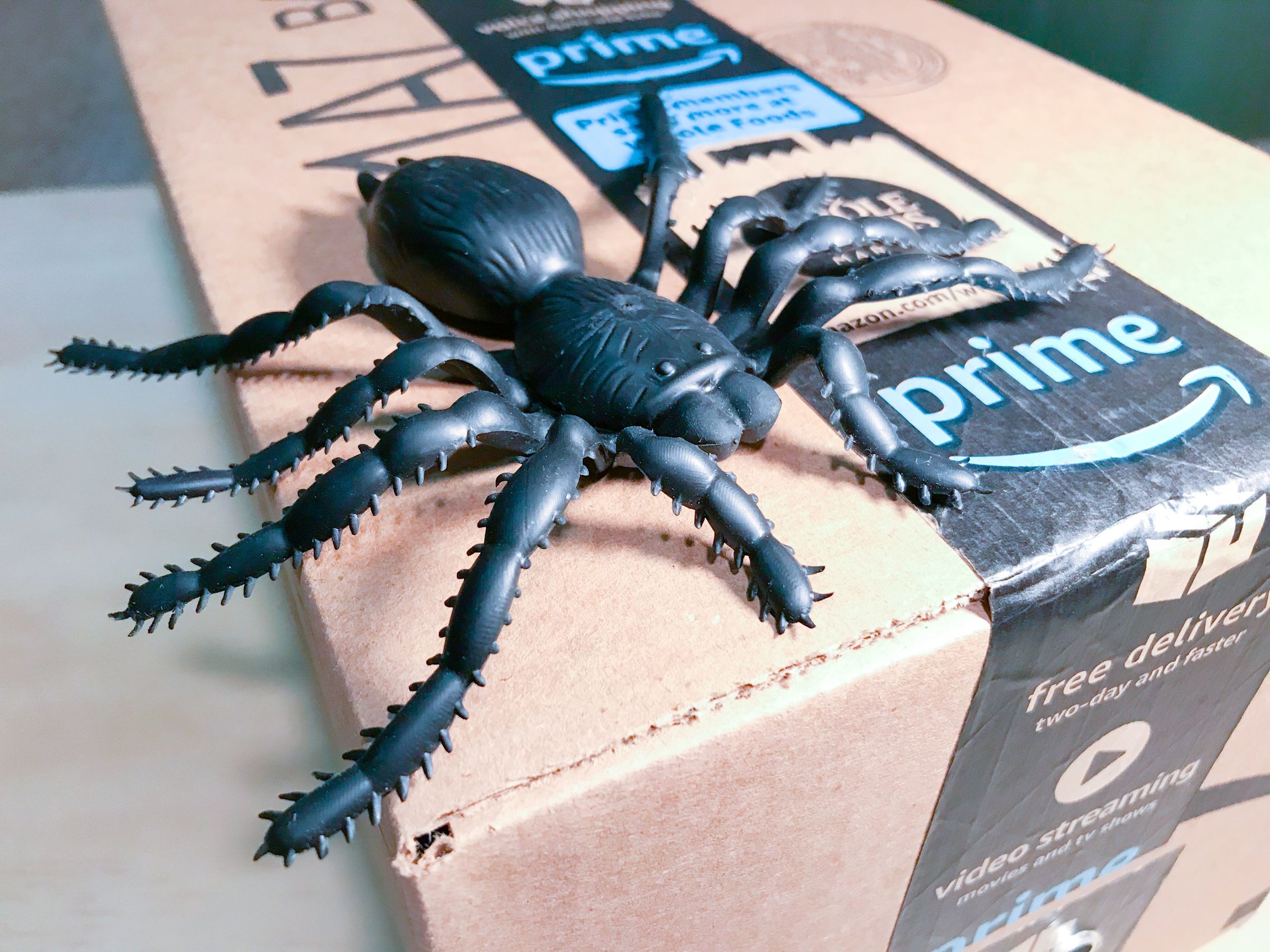 Arduino Automated Spider Prank : 7 Steps (with Pictures) - Instructables