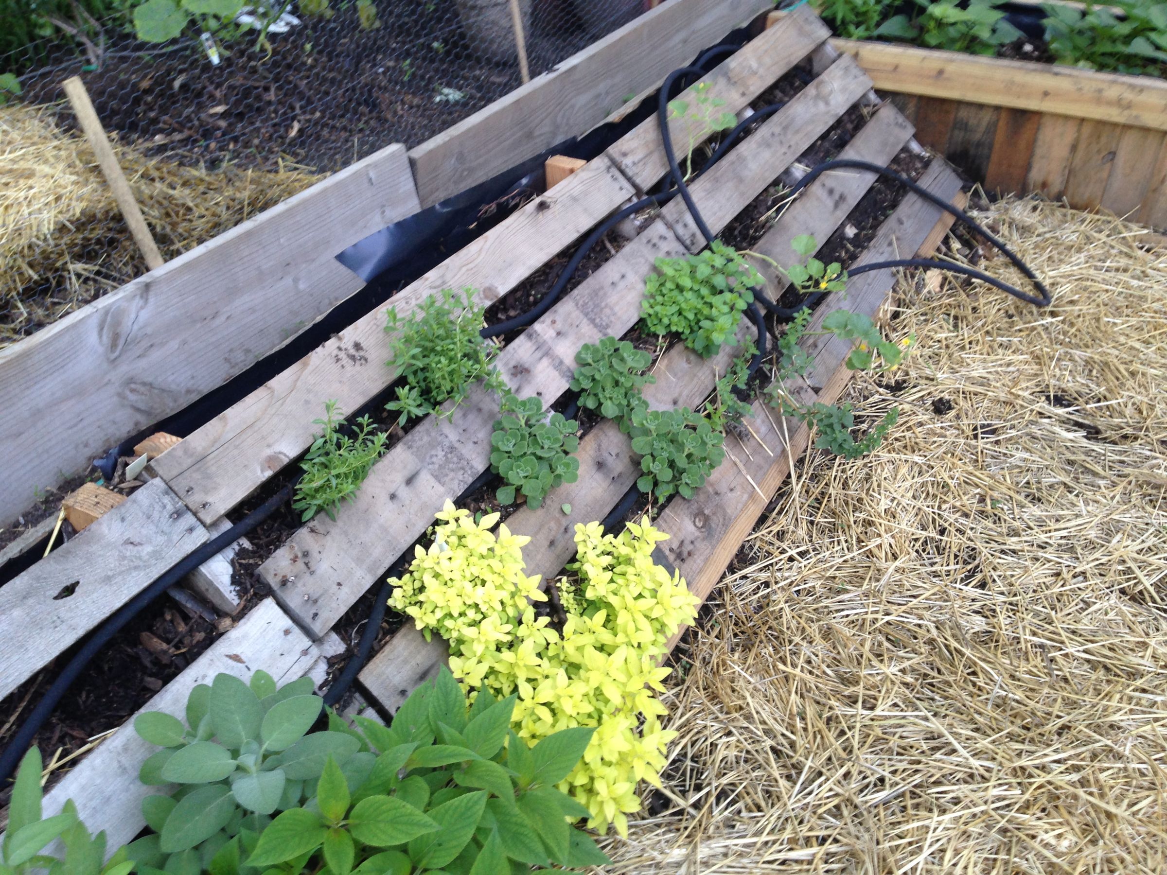 Outdoor Pallet Garden : 10 Steps (with Pictures) - Instructables