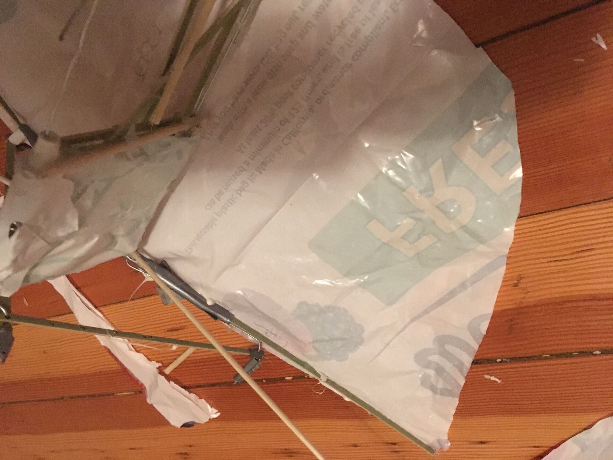 A Simple, Functional Ornithopter : 9 Steps - Instructables