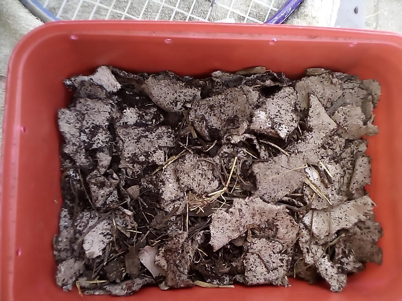 How to Make a Mini Wormery Out of Ice Cream Containers : 6 Steps ...