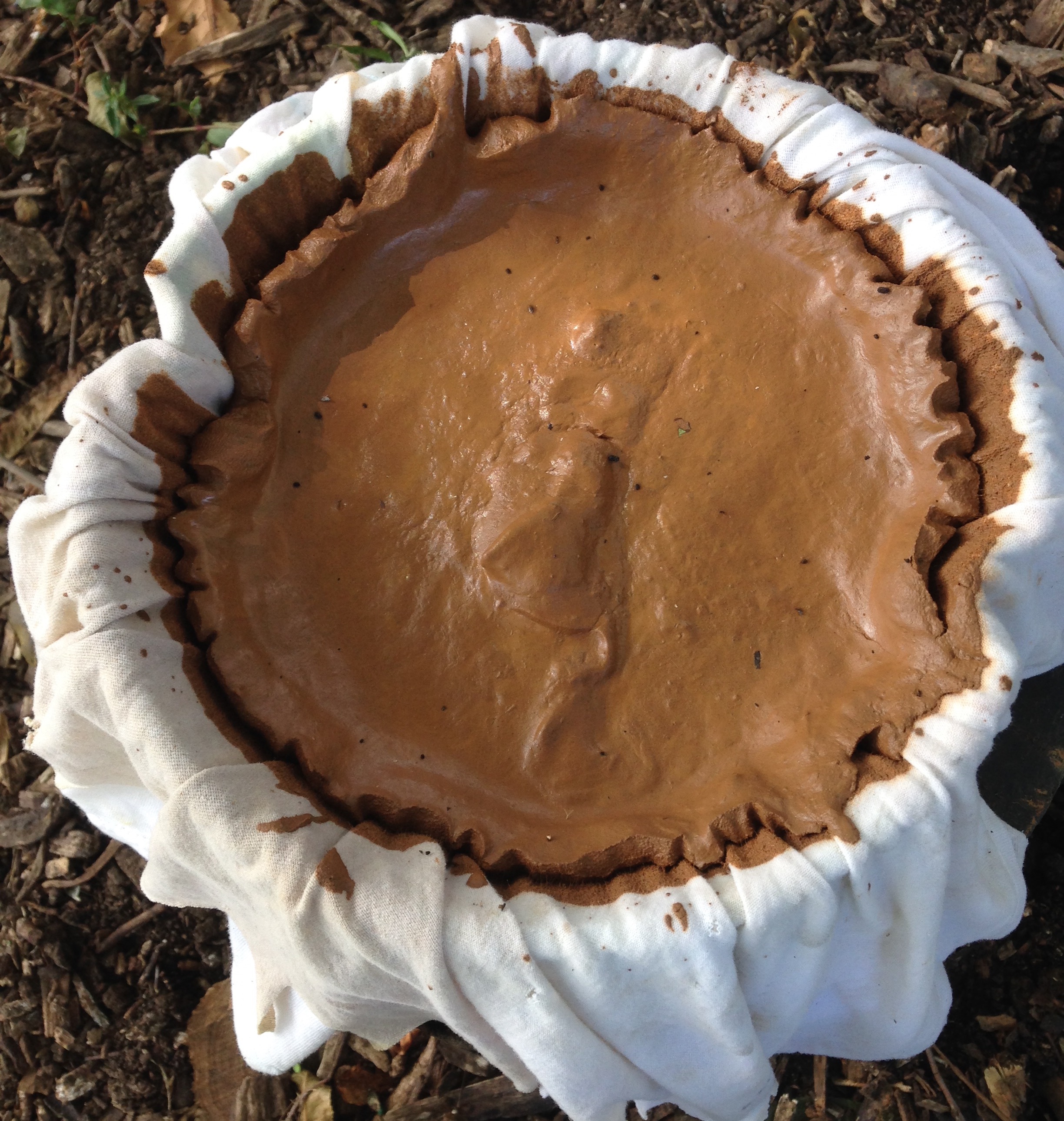 Harvesting Your Own Clay, Dirty But Delightful! : 22 Steps (with ...