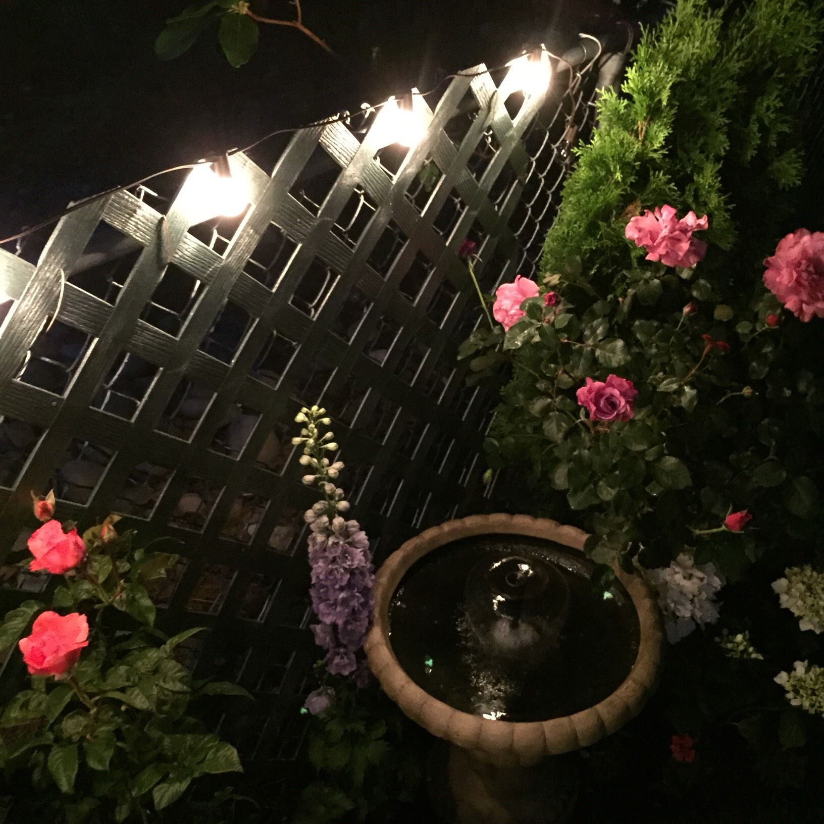 Secret Garden : 9 Steps (with Pictures) - Instructables