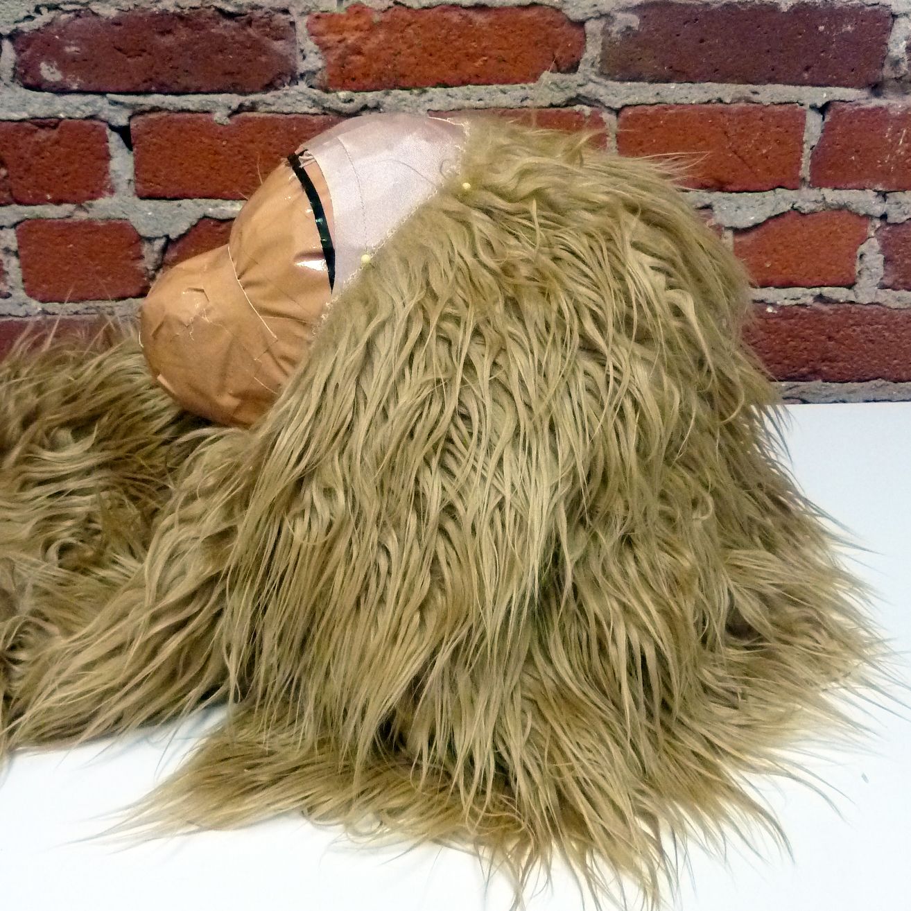 Lion Dog Costume : 5 Steps (with Pictures) - Instructables
