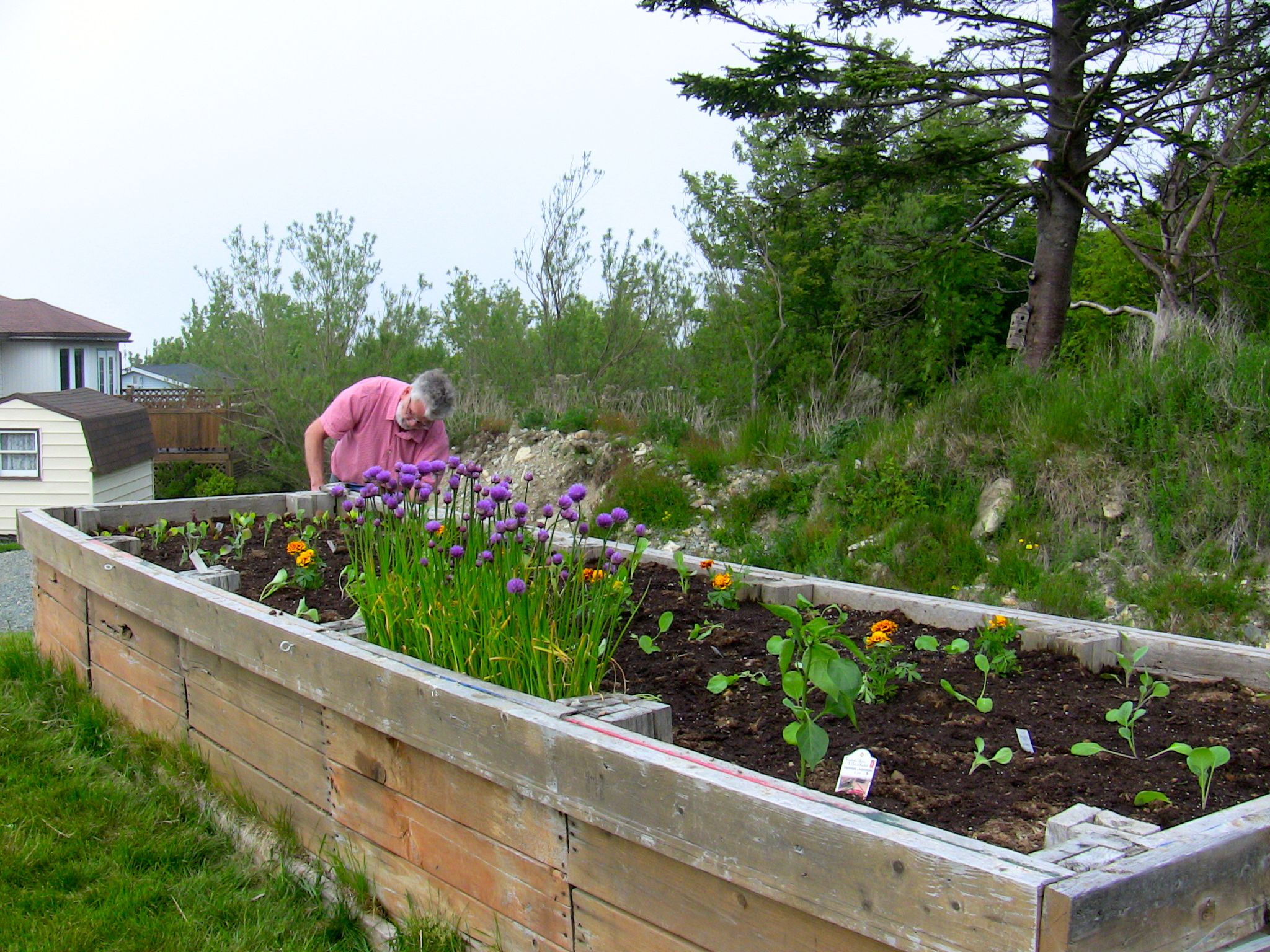 Electric Garden Slug Fence : 4 Steps (with Pictures) - Instructables