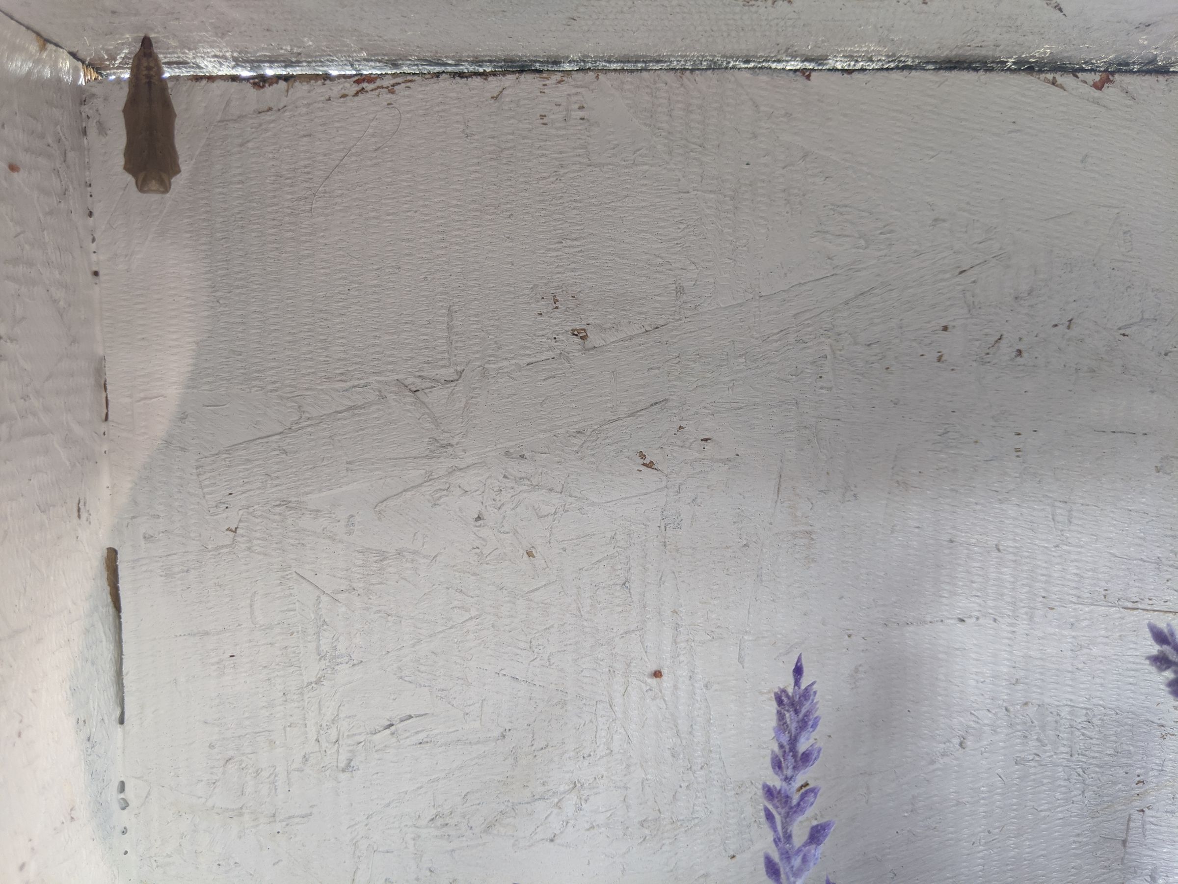 Butterfly Garden Boxes : 5 Steps (with Pictures) - Instructables