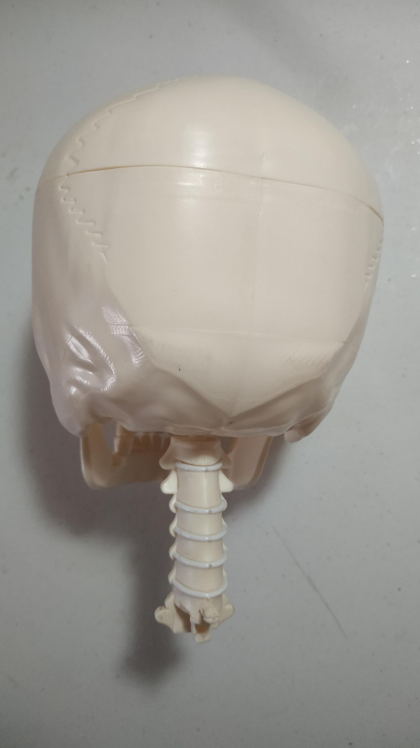 Animatronic Skull With Arduino : 7 Steps (with Pictures) - Instructables