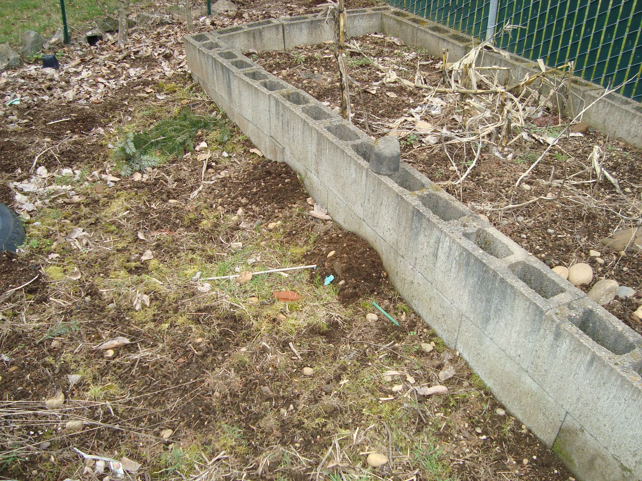 Mole-proof Potato Cage : 6 Steps - Instructables