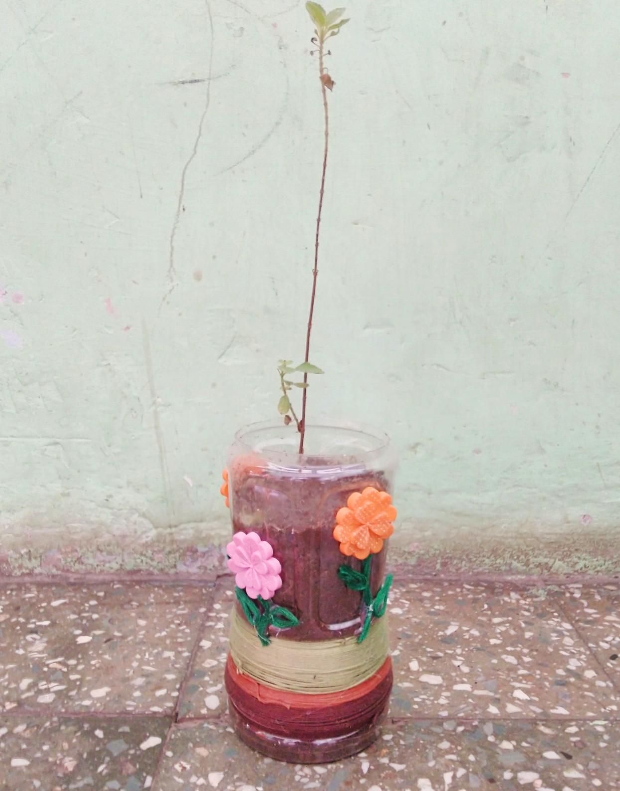 Plastic Bottle Plant Pot!! : 4 Steps (with Pictures) - Instructables