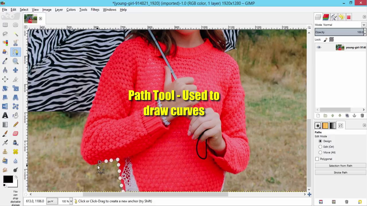 How to Remove Background of the Image Using GIMP (Path Tool) : 5 Steps - Instructables