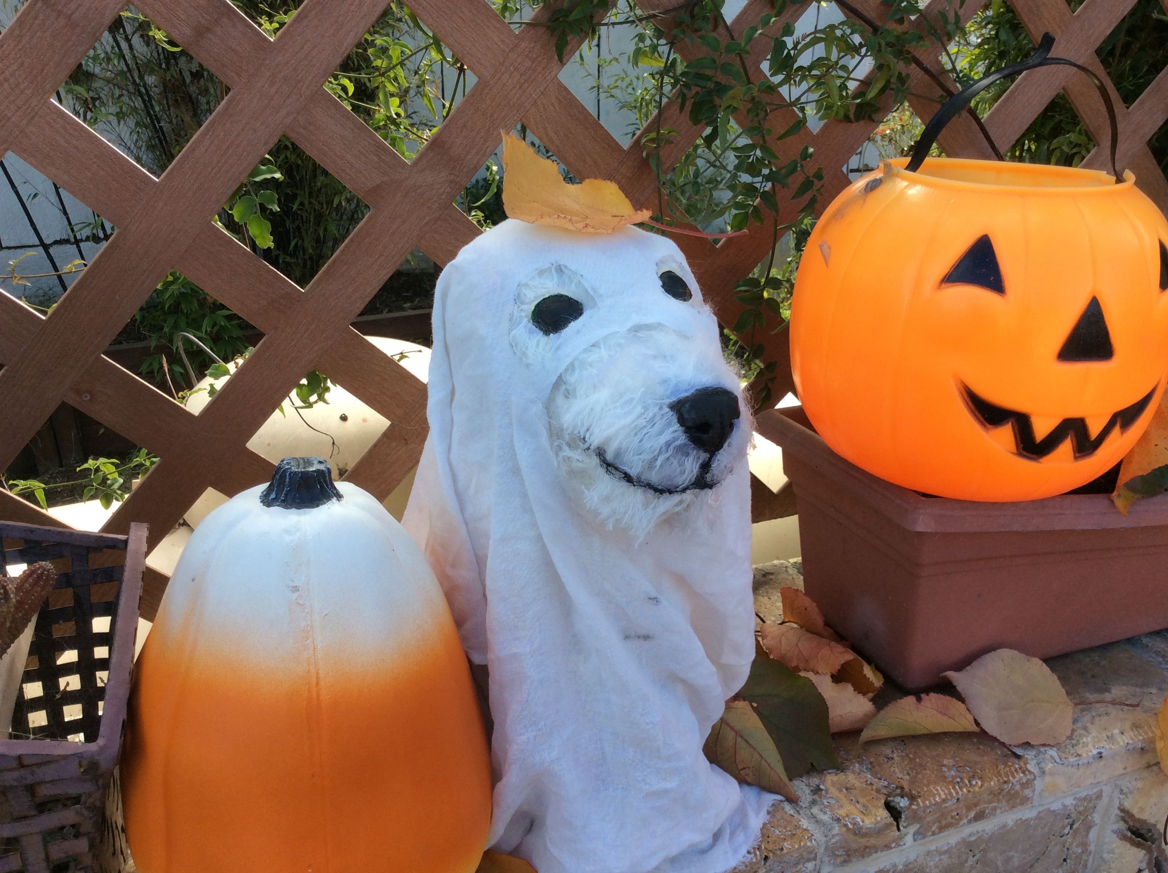 Boo the Ghost Dog Halloween Decoration : 13 Steps (with Pictures ...