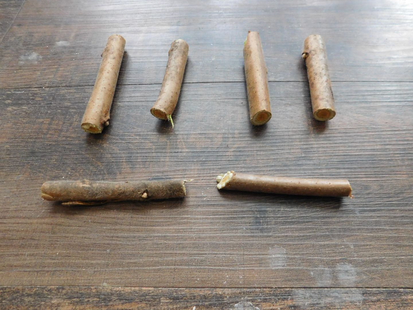 How to Make a Spile(for Collecting Sap) : 6 Steps (with Pictures ...