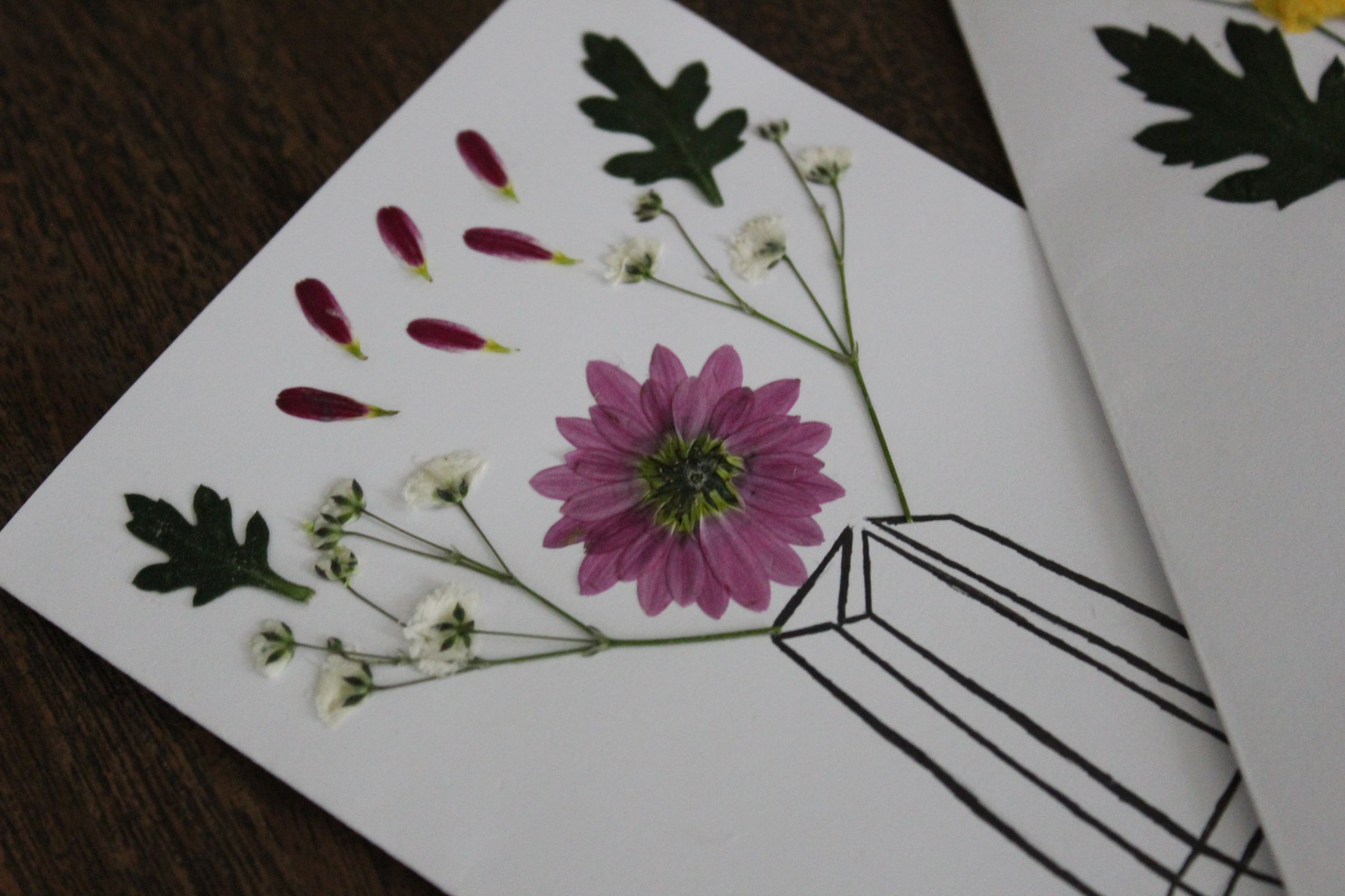DIY Pressed Flower Card : 7 Steps (with Pictures) - Instructables