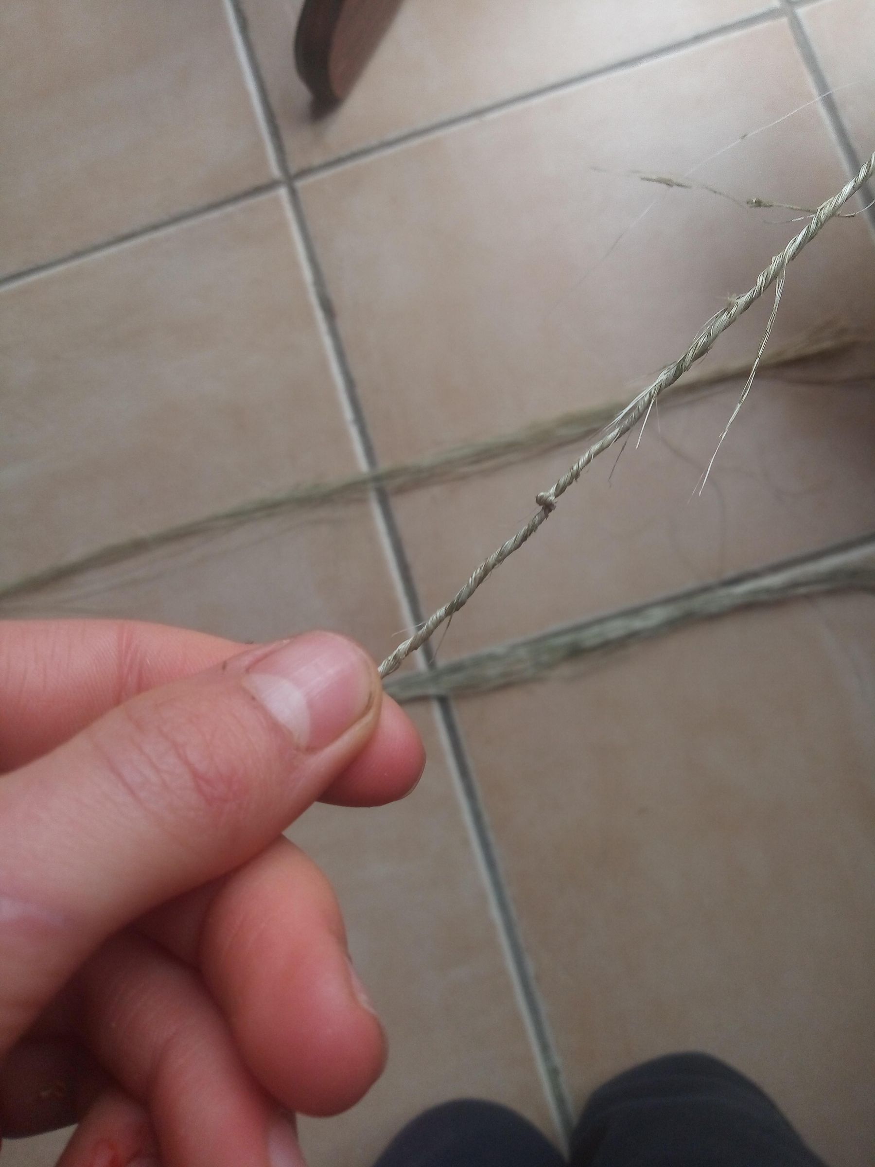 How to Make Rope / String With Natural Plant Fibers : 6 Steps (with ...