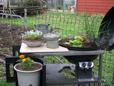 How to Turn Your Old Grill Into a Planter : 18 Steps (with Pictures ...