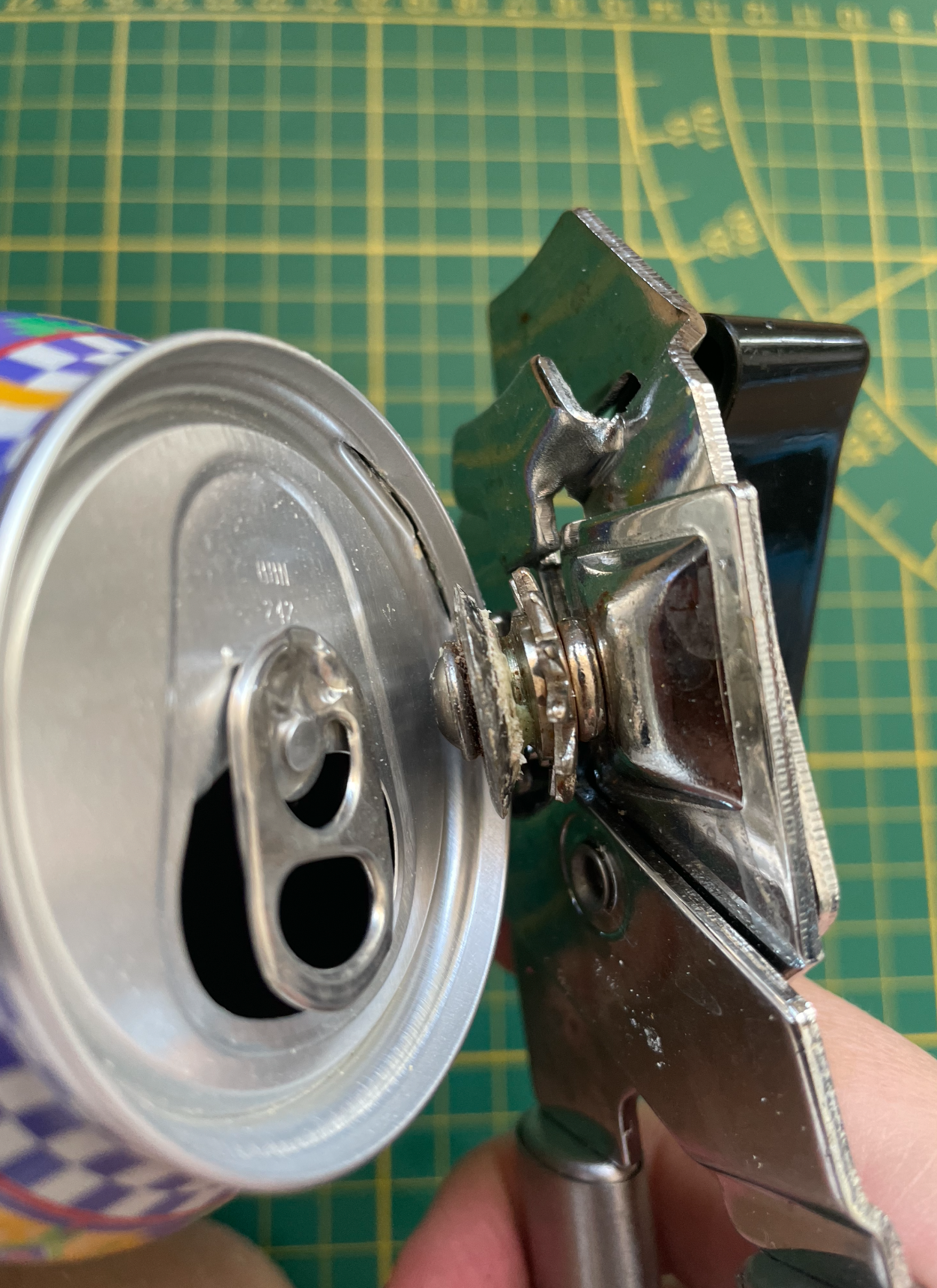 Recycled Fabulous Flower Cans : 4 Steps (with Pictures) - Instructables