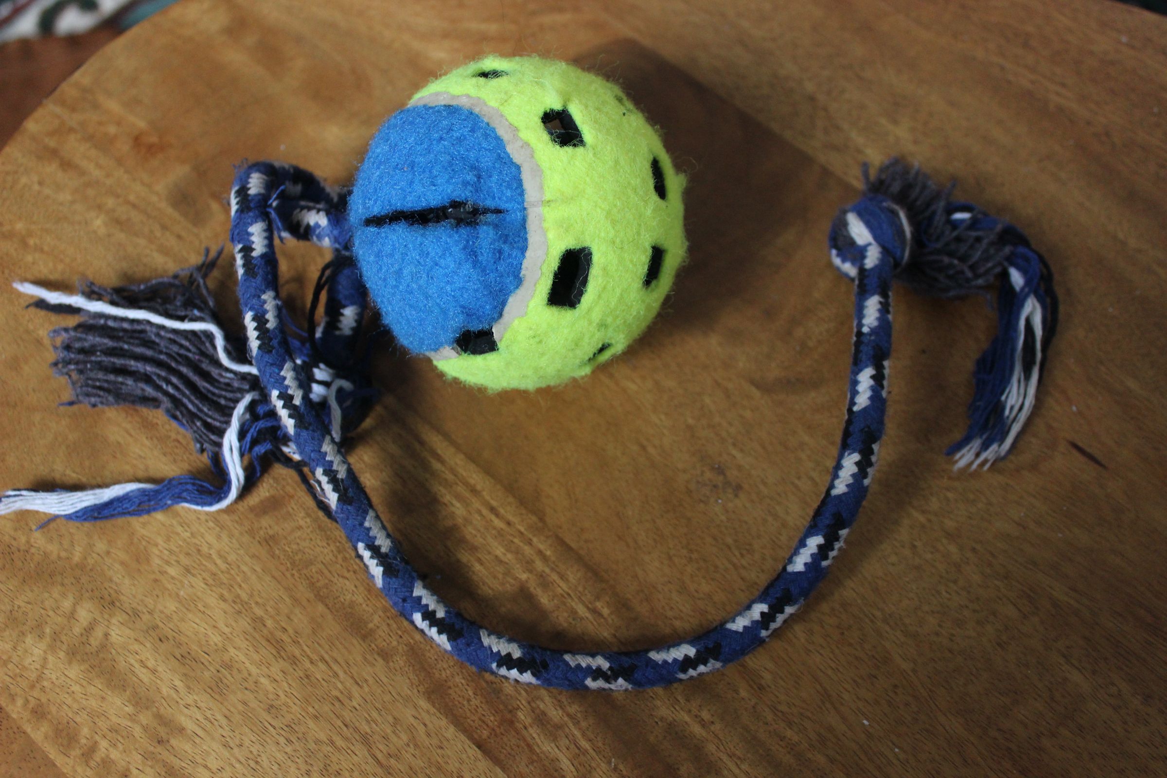 $3 Light Up Dog Toy : 6 Steps (with Pictures) - Instructables