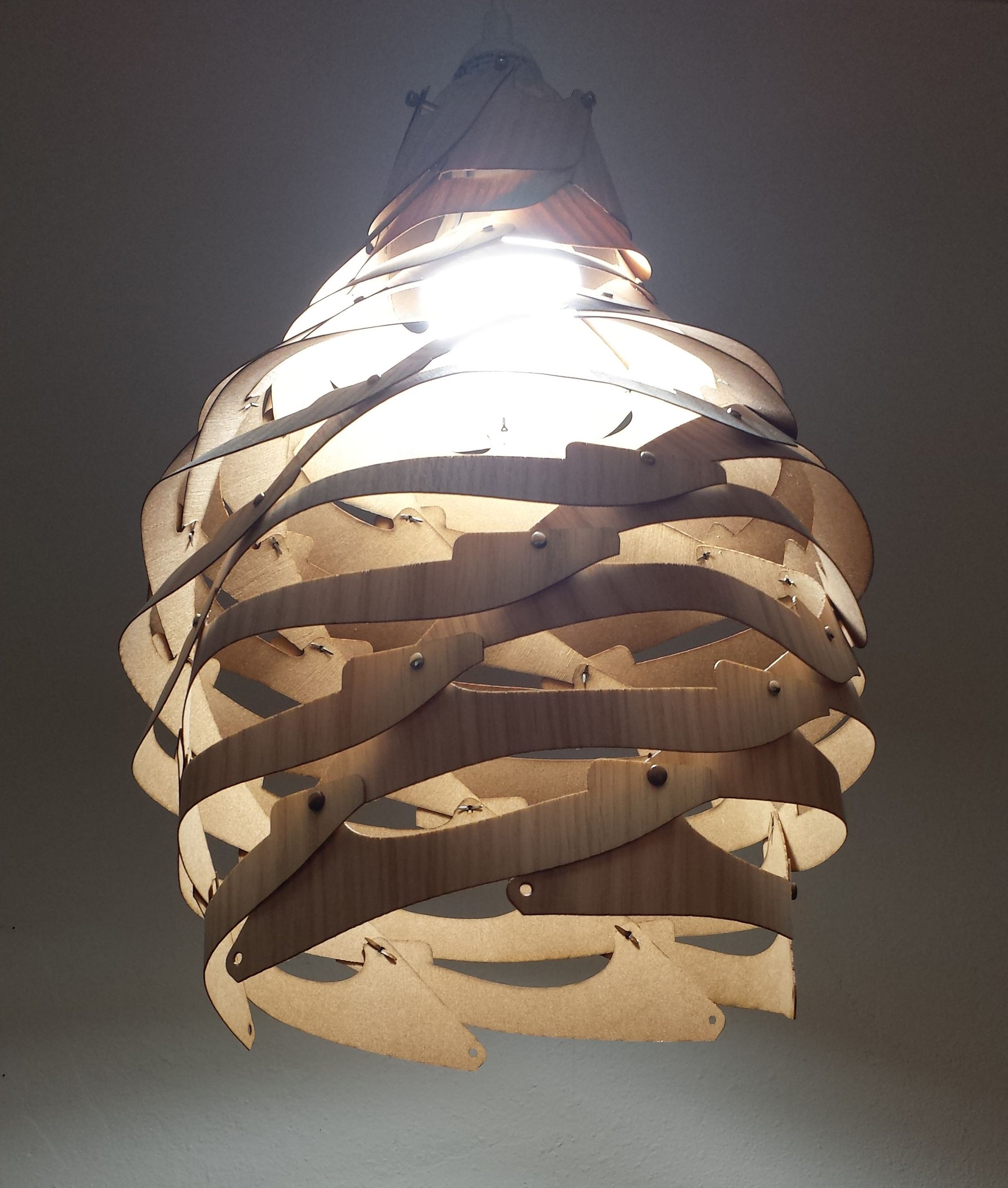 Bloom Parametric Pendant Lamp : 10 Steps (with Pictures) - Instructables