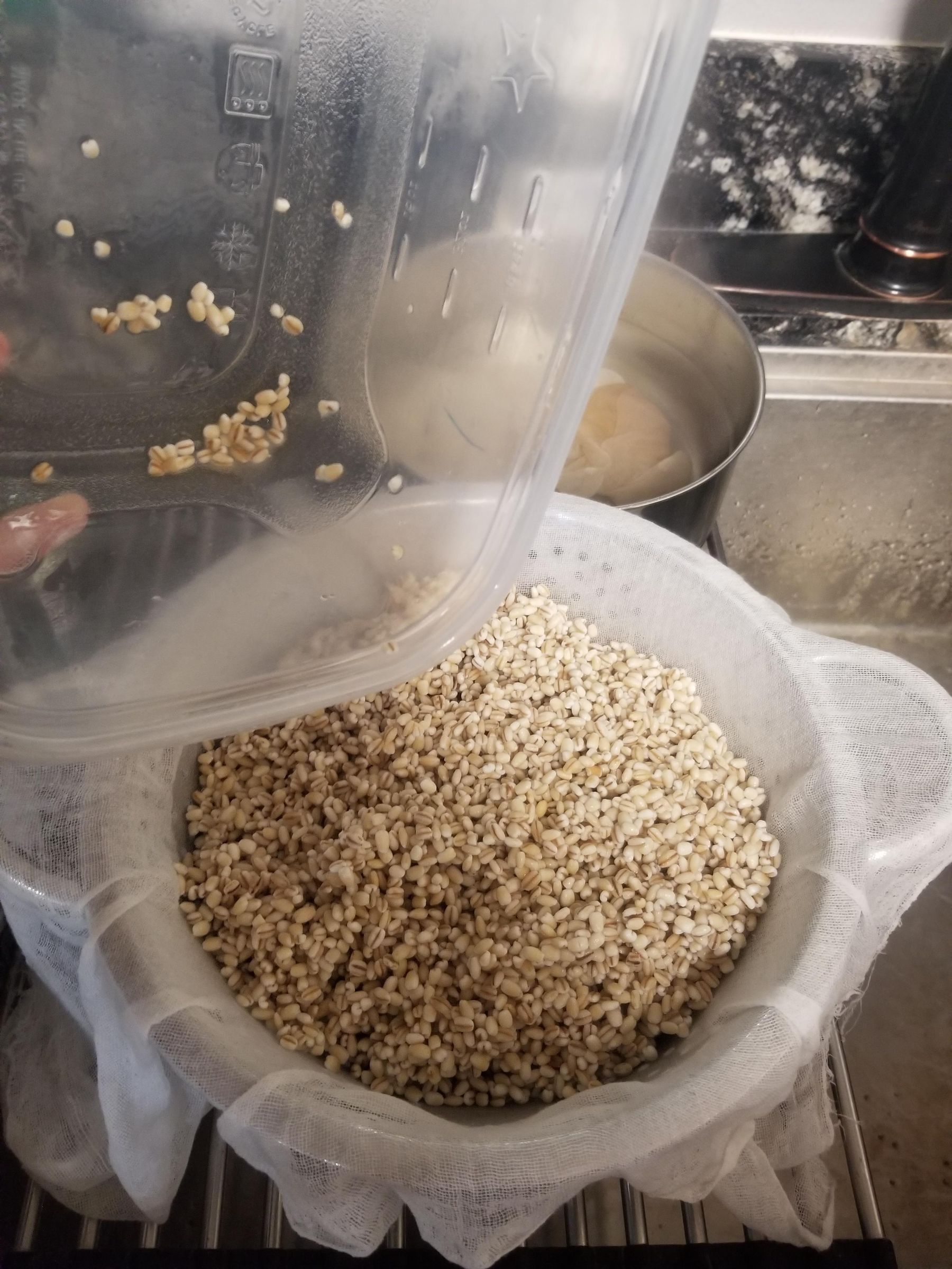 Making Koji - a Foundation of Fermentation : 5 Steps (with Pictures ...