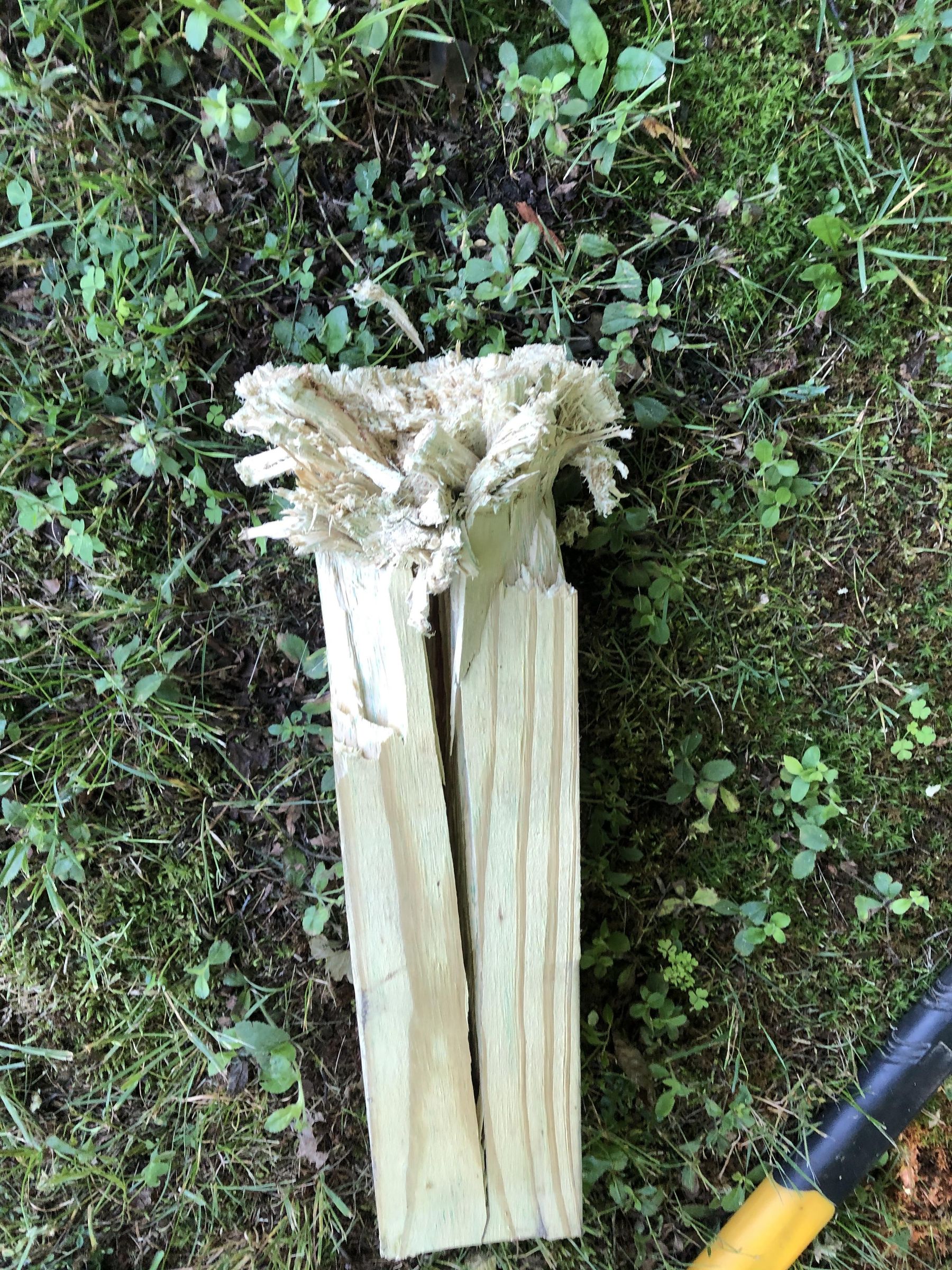 Library Story Stroll (Also Called Storywalk®) : 9 Steps (with Pictures ...