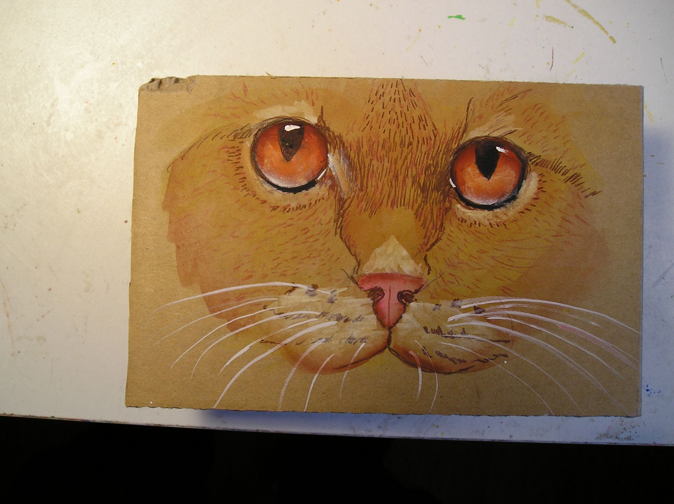 Make a CatRack : 9 Steps - Instructables