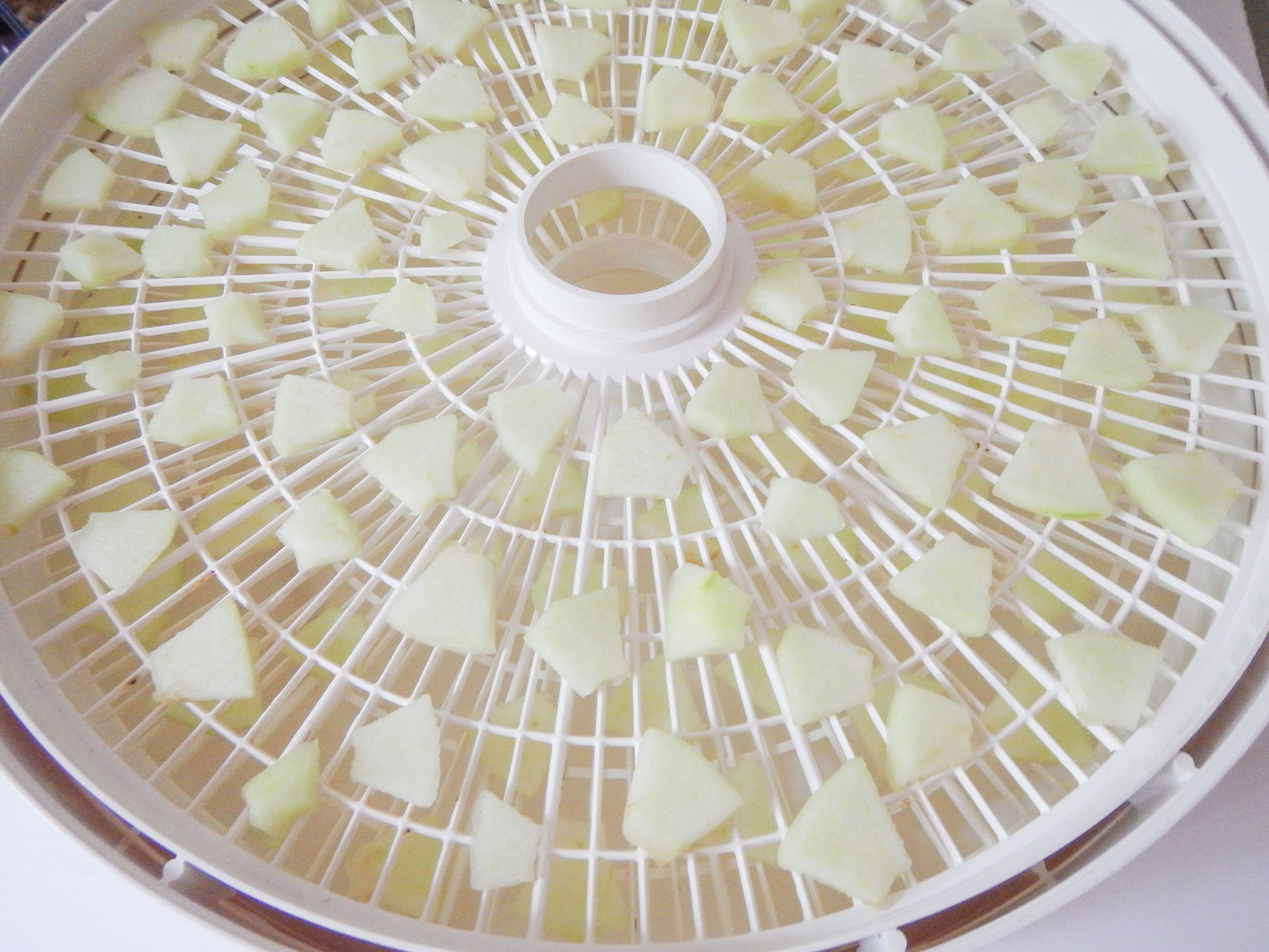 How to Dehydrate Apples : 5 Steps (with Pictures) - Instructables
