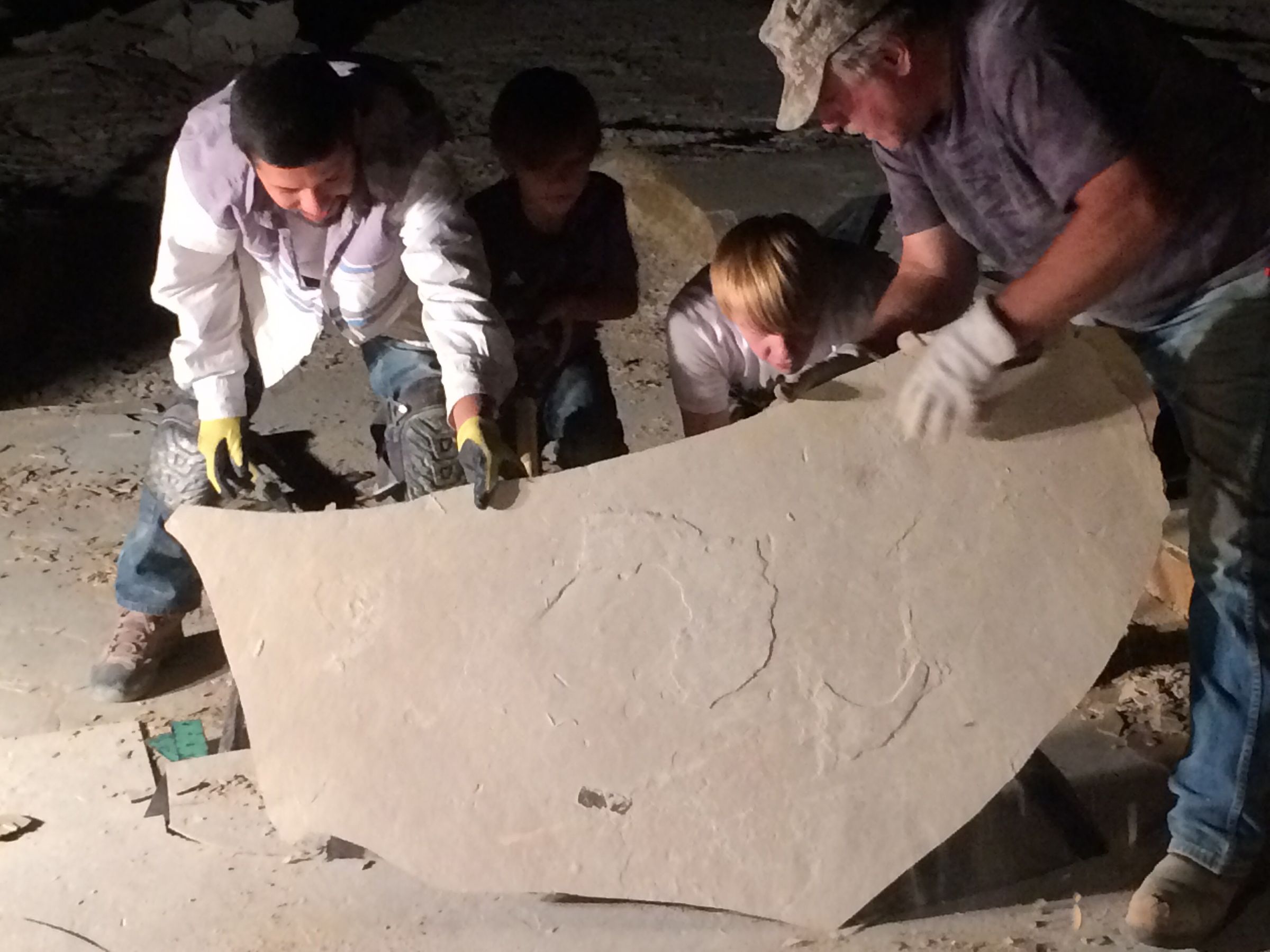 Split Limestone to Find Fossils!! : 4 Steps (with Pictures) - Instructables