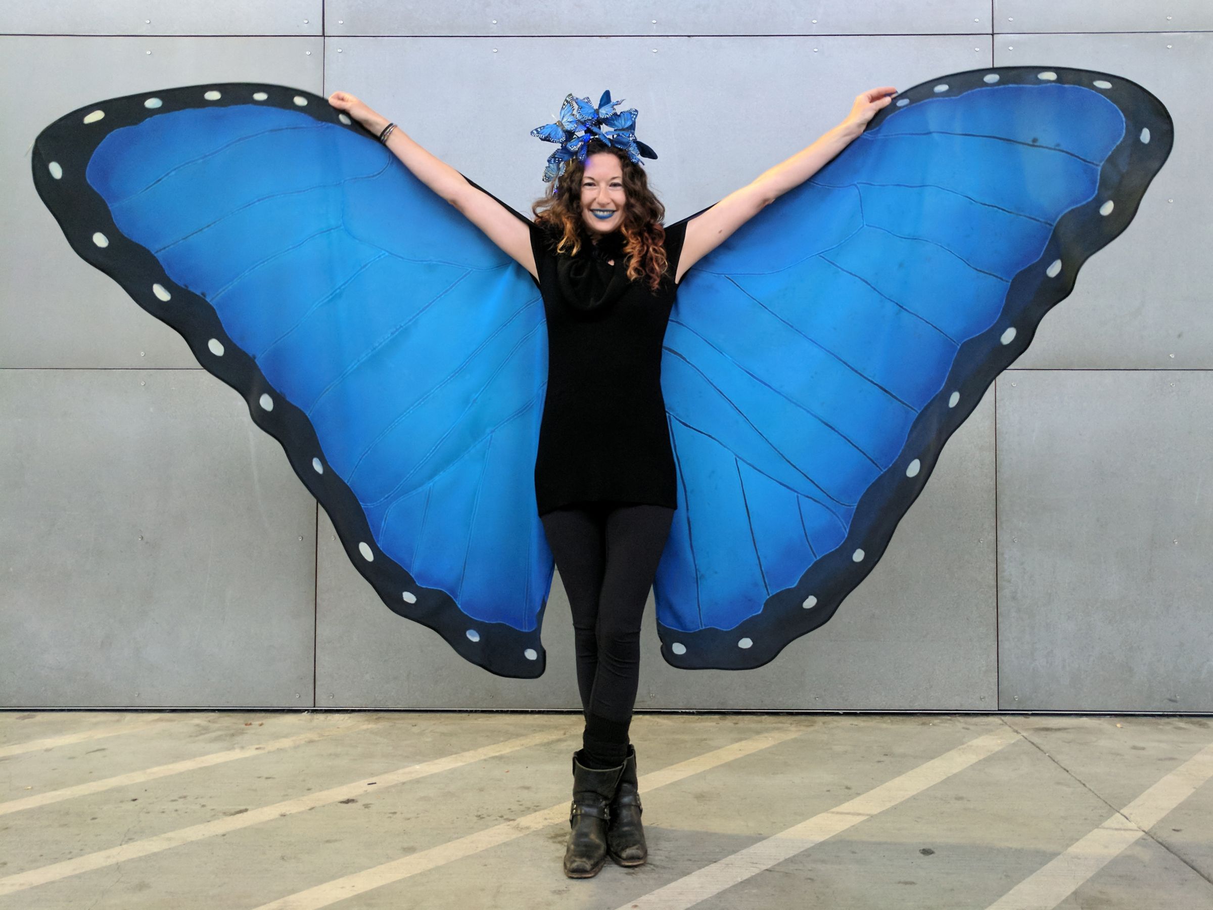 Giant Butterfly Wings Costume