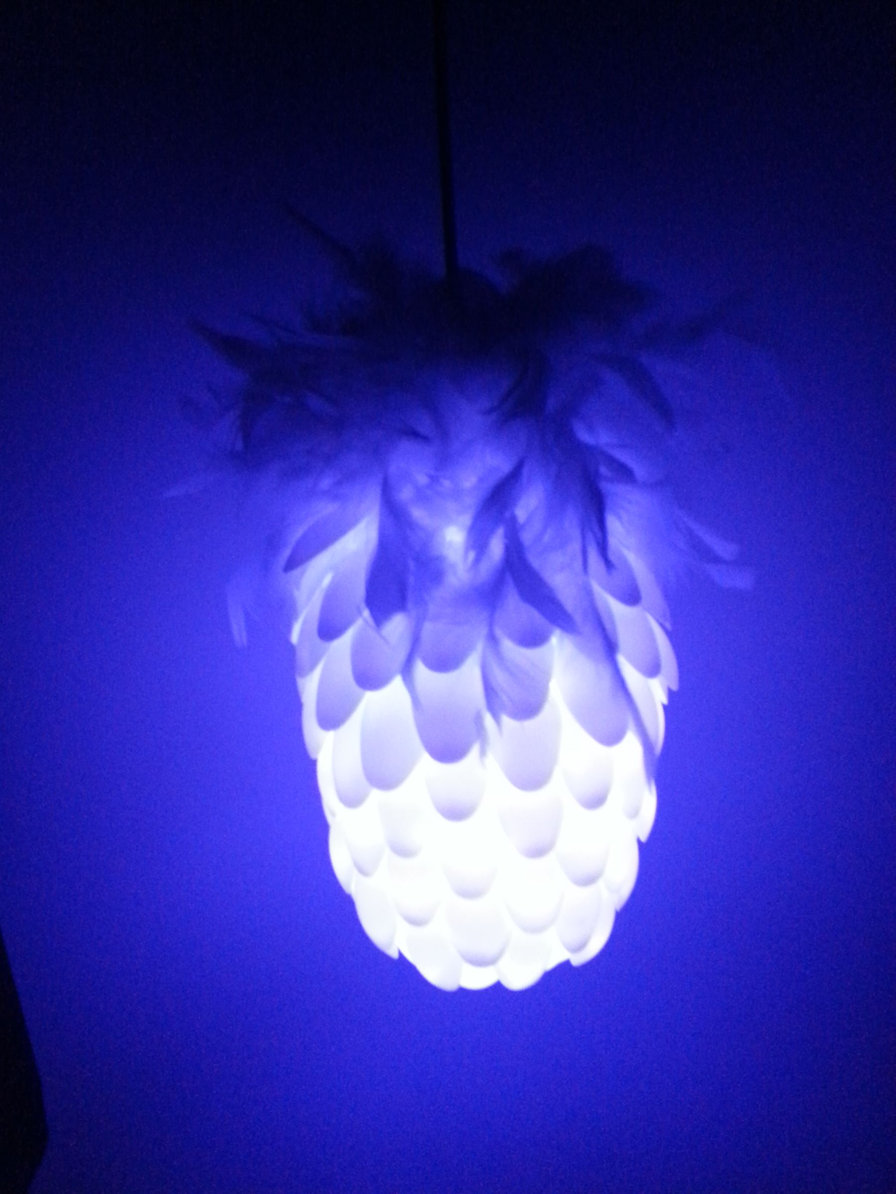 Rainbow Pinecone Spoon Light (with Pictures) - Instructables