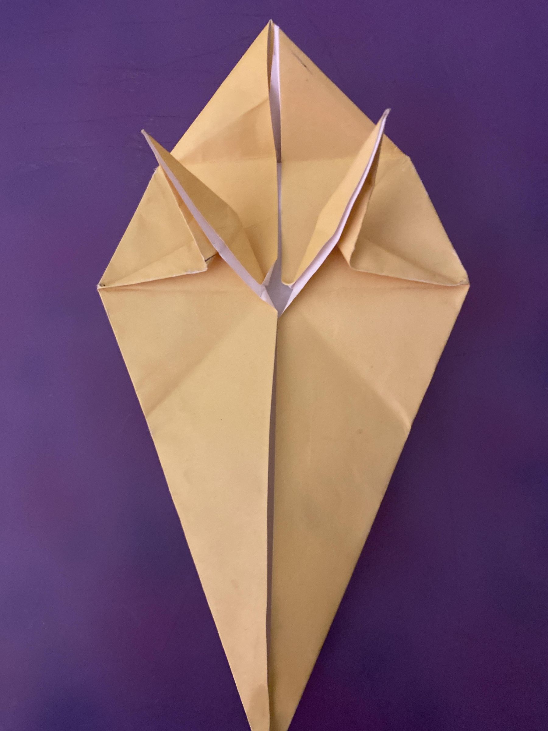 Origami Rat : 27 Steps - Instructables