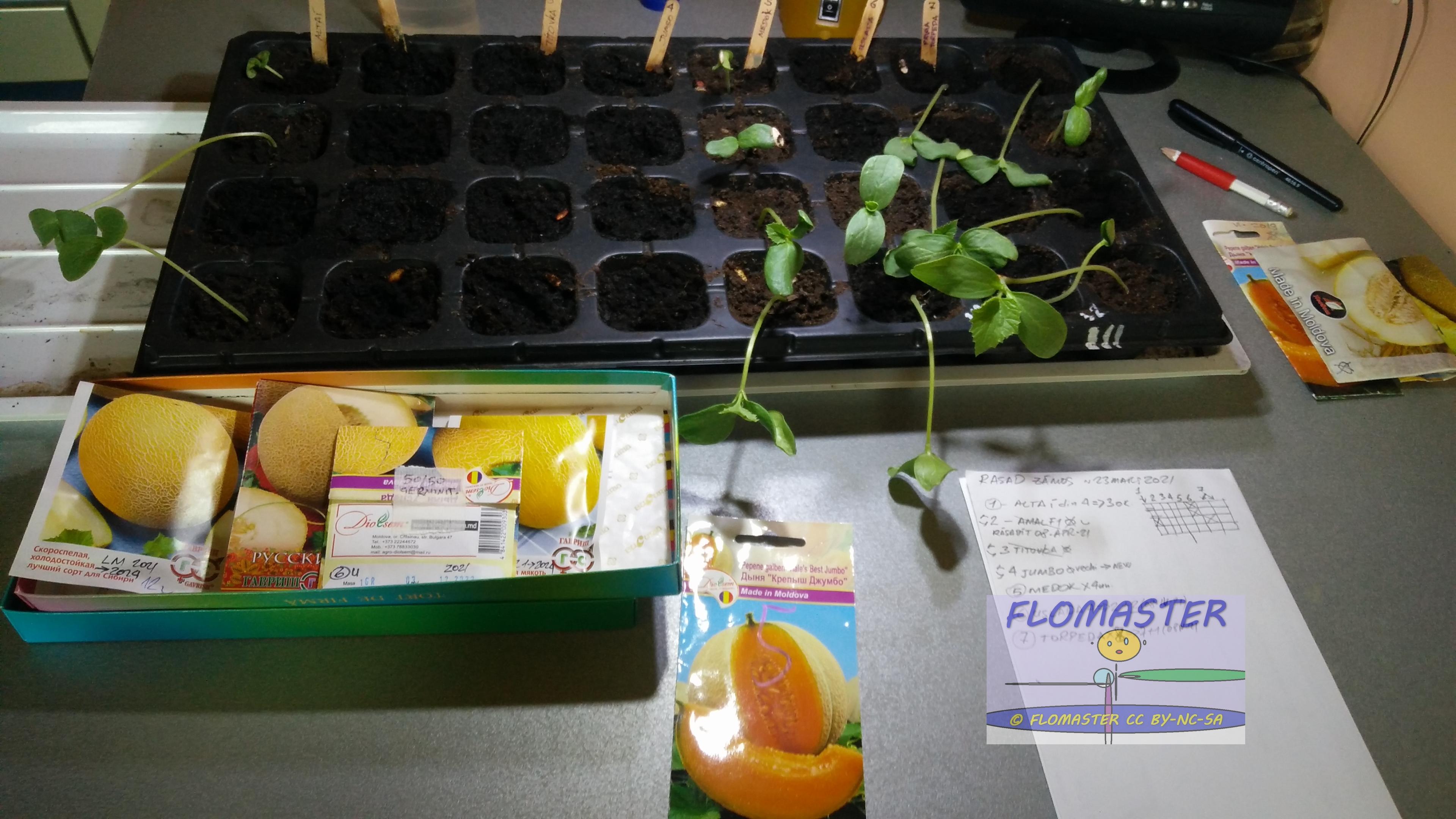 🌼 DIY Seedling Propagator From Recycled Plastic Container 🌼 : 12 Steps ...