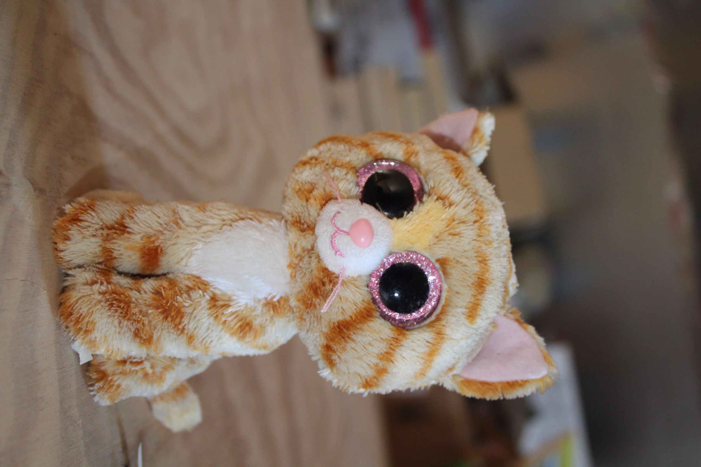 How to Make a Franken-Kitty : 4 Steps (with Pictures) - Instructables